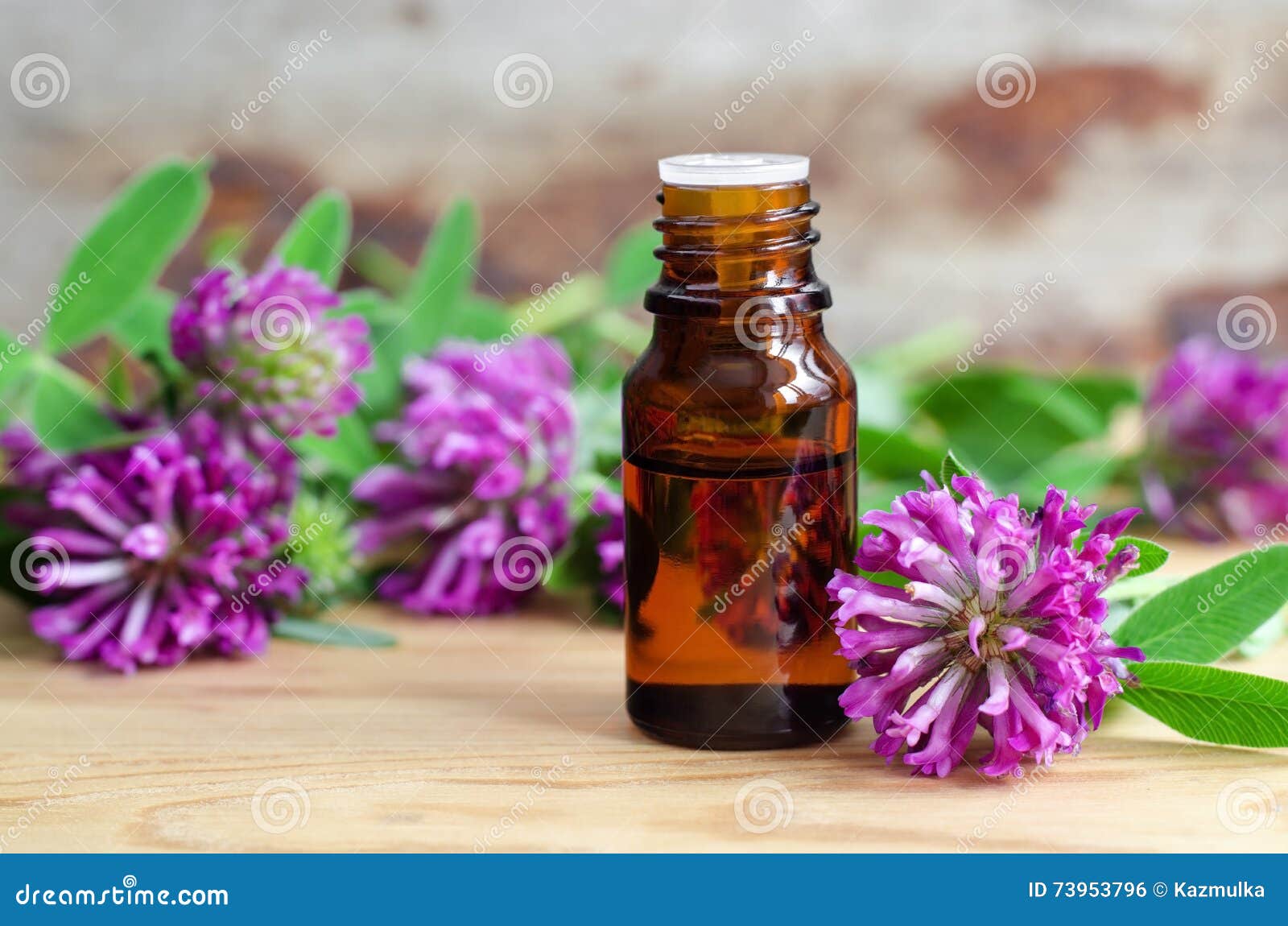 Bottle of Red Clover Extract (tincture, Infusion, Oil) Stock Photo ...