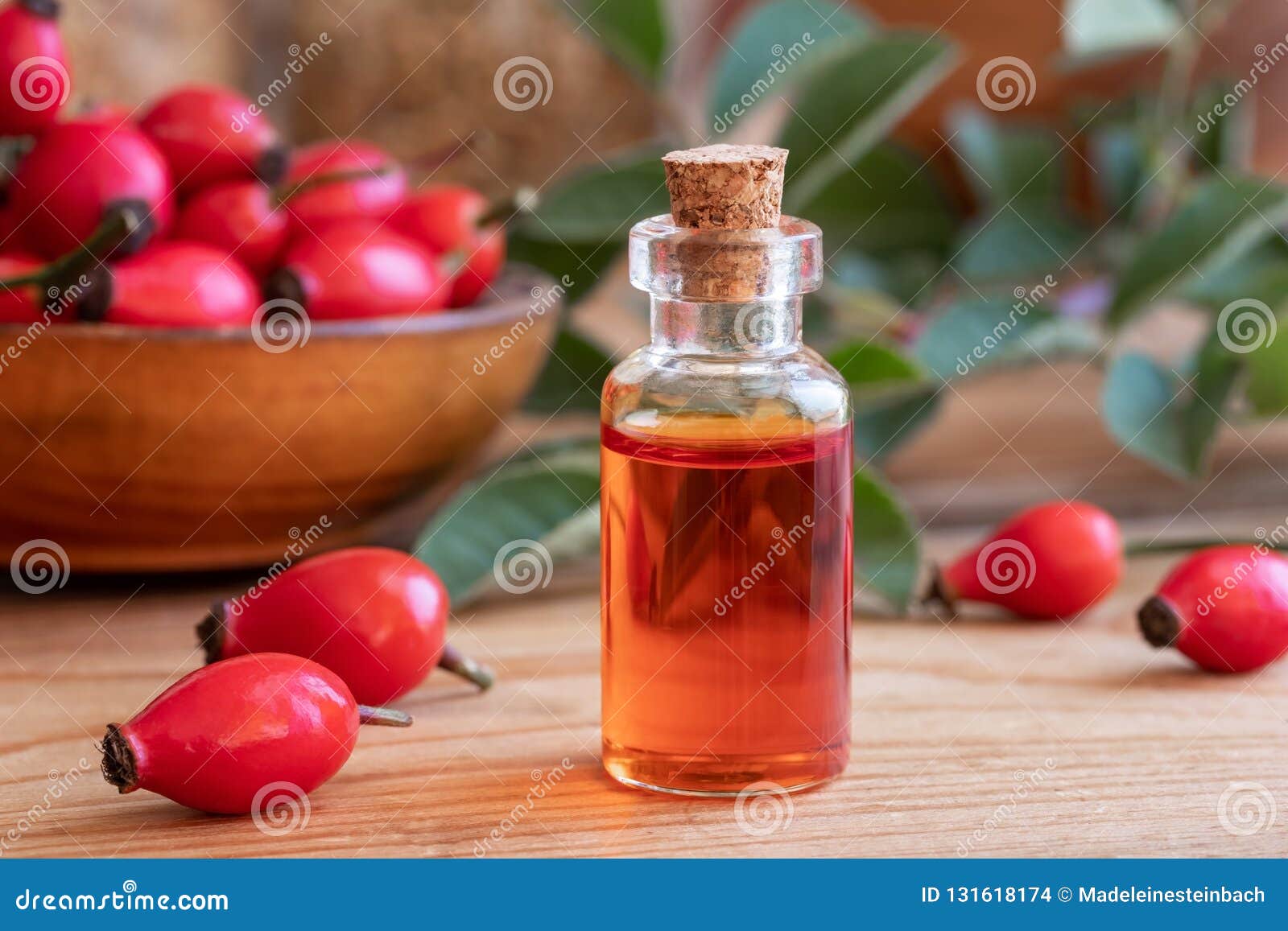 17,574 Rose Hip Plant Stock Photos - Free & Royalty-Free Stock Photos ...