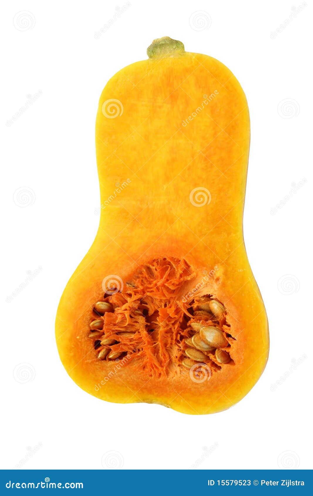 Bottle Shaped Butternut Pumpkin Stock Image - Image of bottle, shape ...