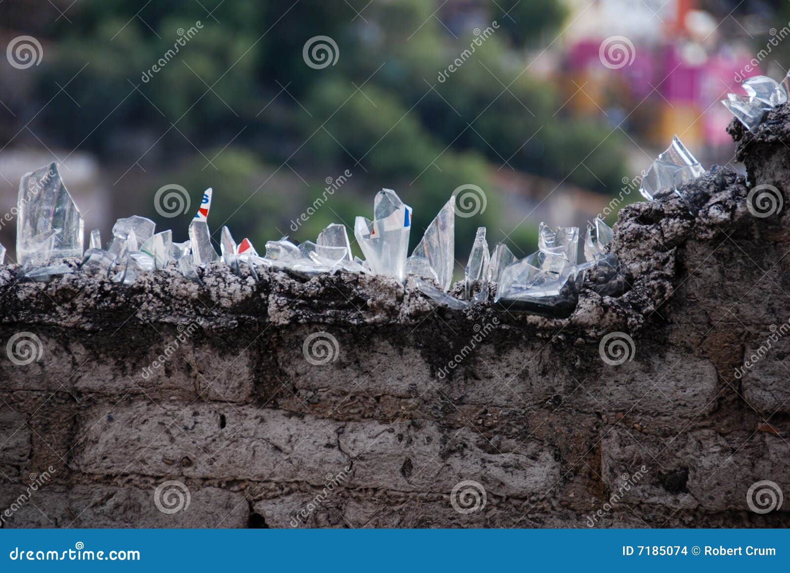 Bottle-shards on a wall stock photo. Image of object, guard - 7185074