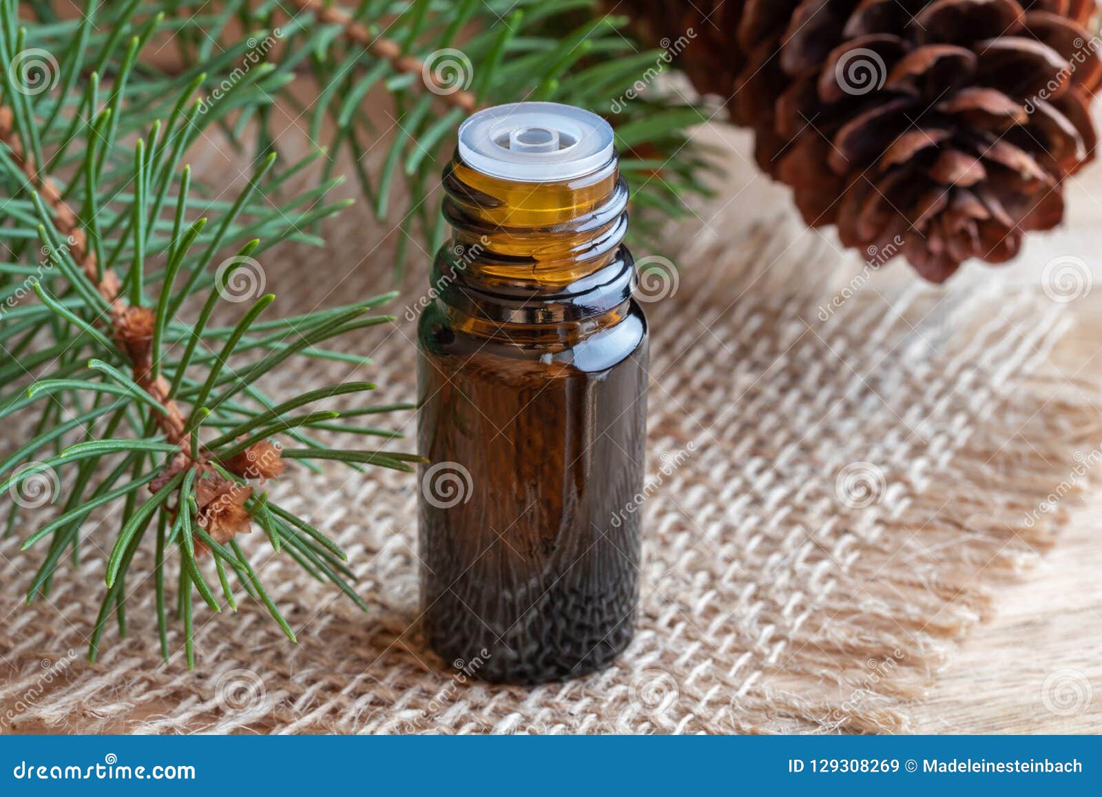 A Bottle of Spruce Essential Oil with Fresh Spruce Branches Stock Image ...