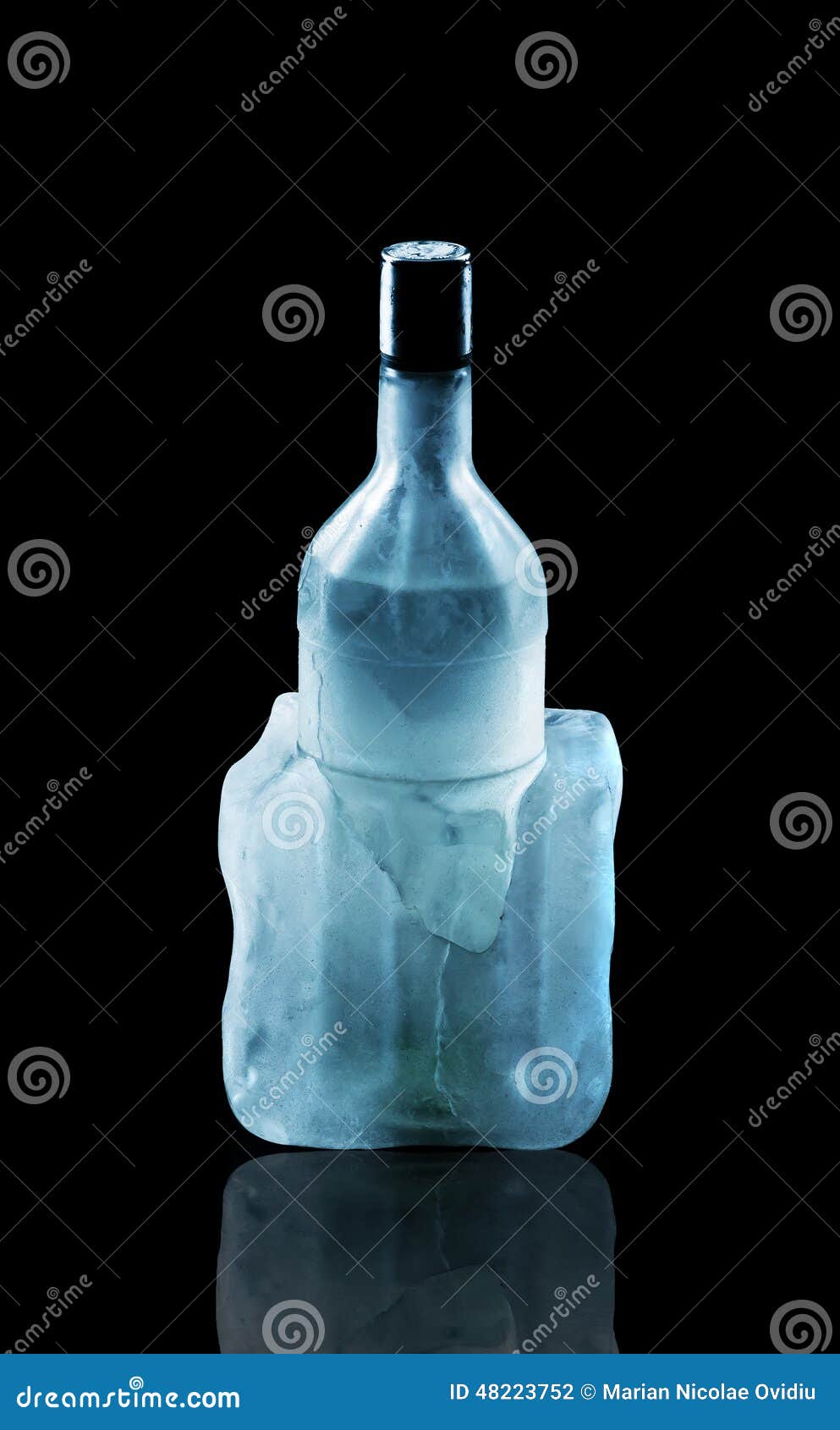 Bottle of Vodka in a Big Ice Cube Stock Photo - Image of background ...