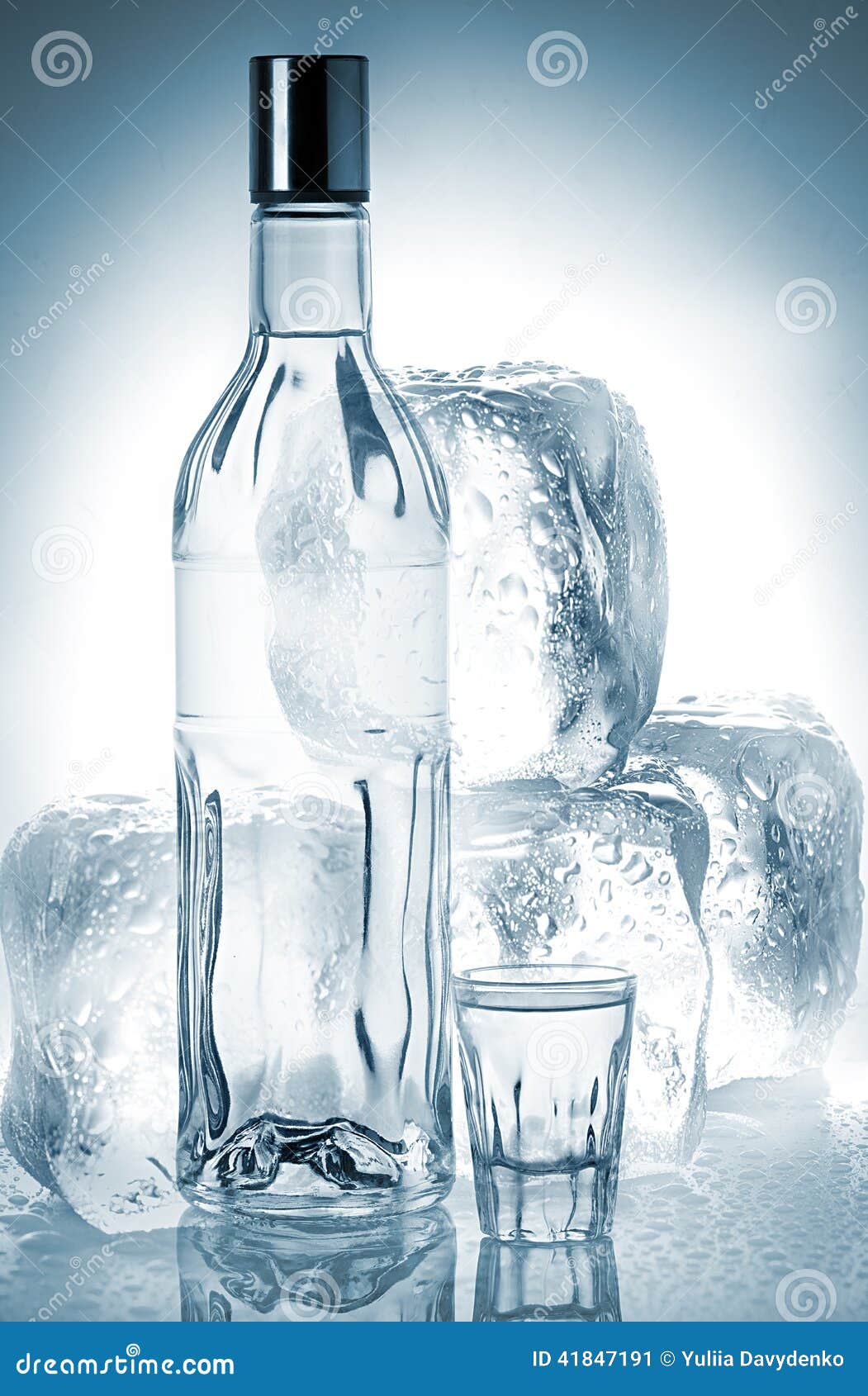 Bottle of Vodka and Ice Cubes Stock Image - Image of clear, blank: 41847191