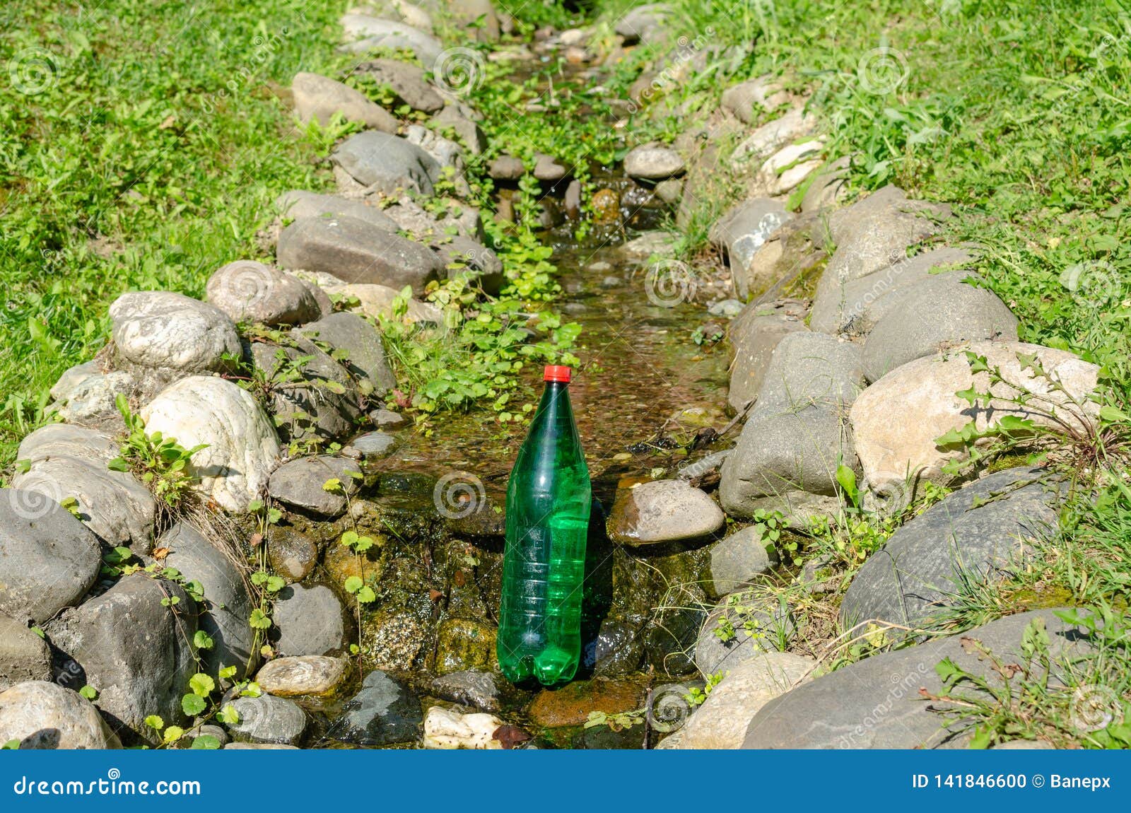Bottle of water in a brook stock photo. Image of clean - 141846600