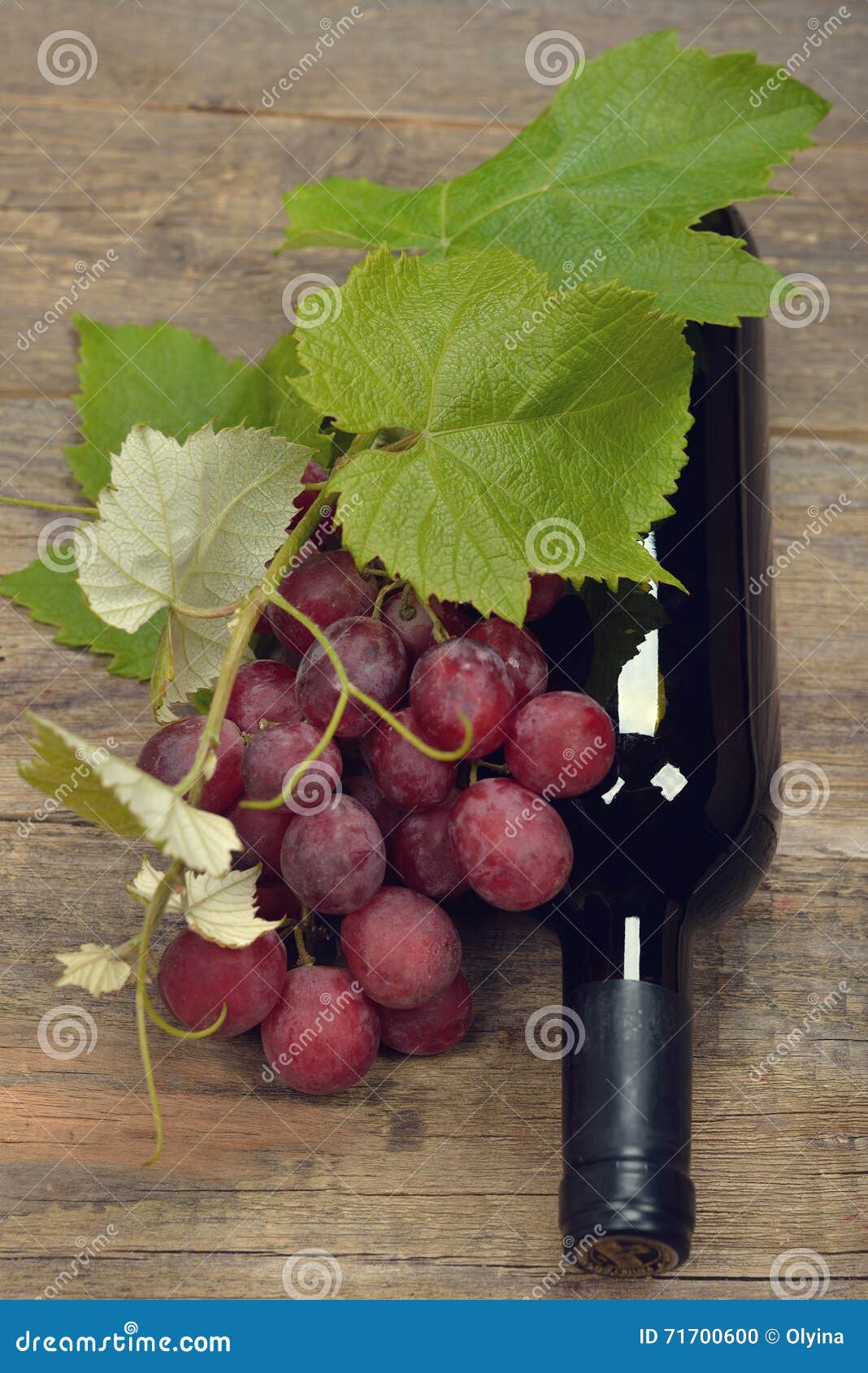 Bottle of wine and grapes stock photo. Image of natural - 71700600