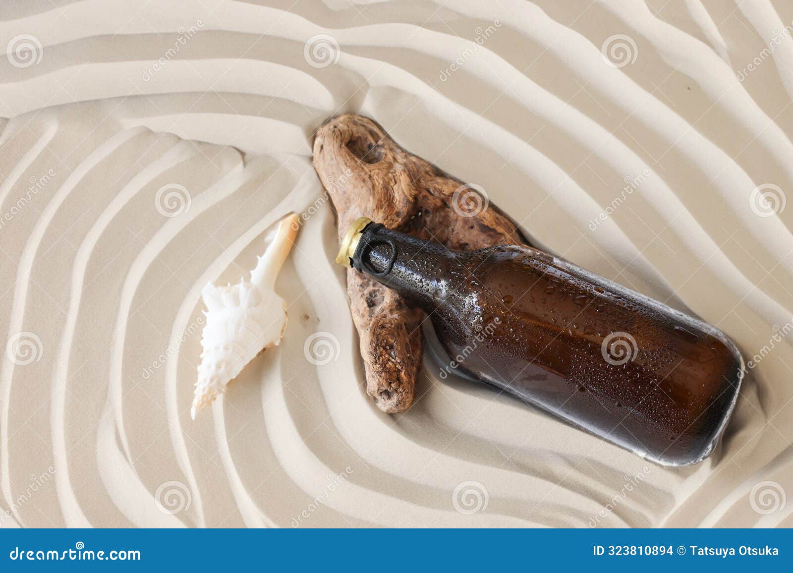 Bottled Beer on the Sand with a Shell,top View Stock Photo - Image of ...