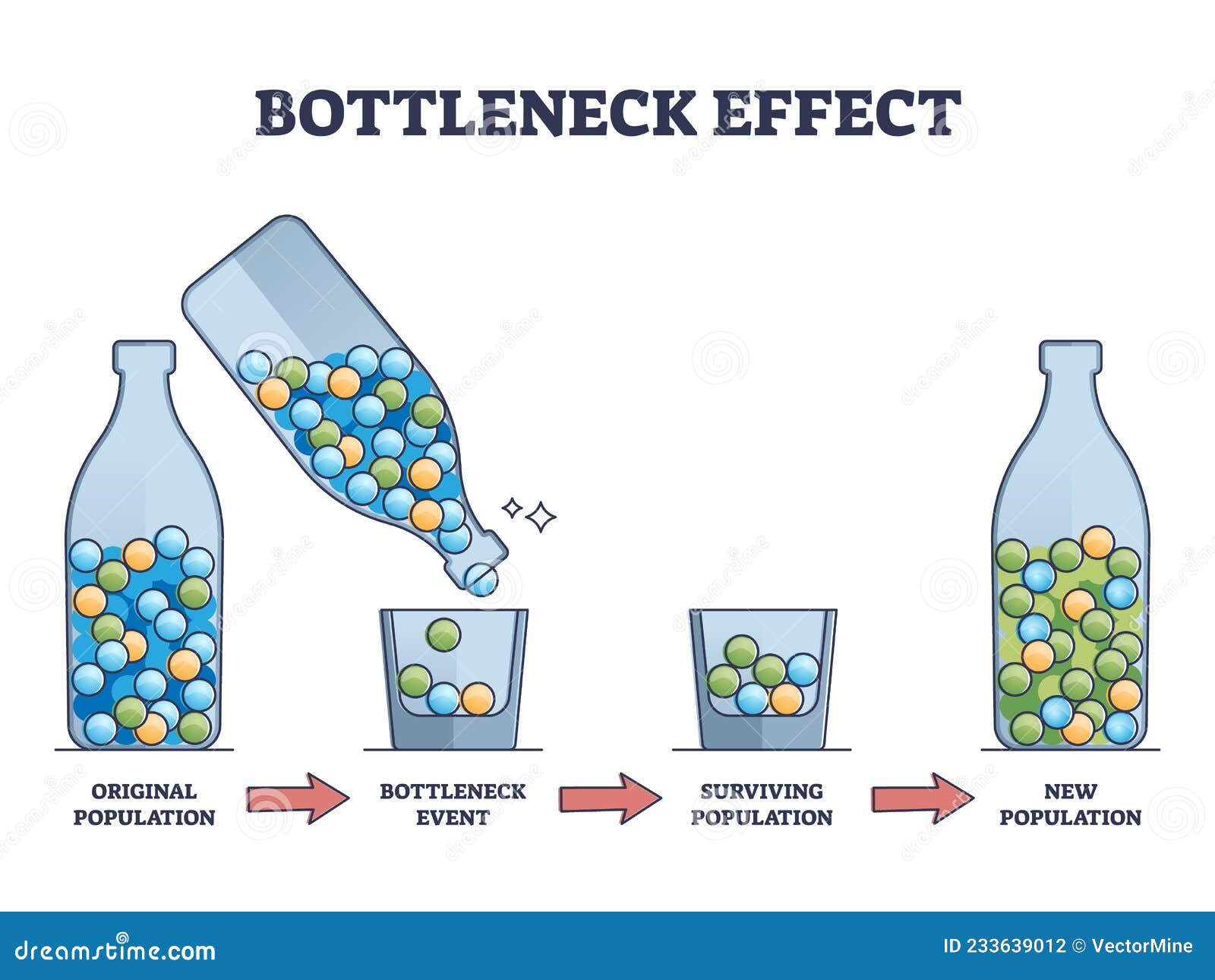 Ppt Genetic Drift Bottleneck Effect And Founder Effect Ppt Genetic Drift Bottleneck Effect And Founder Effect