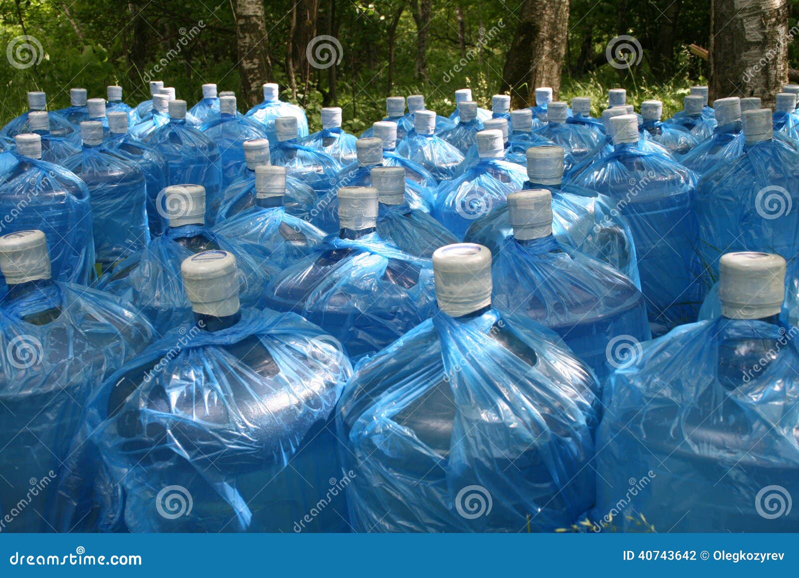 Bottles of Clean Water in the Forest Stock Photo - Image of cover, cold ...
