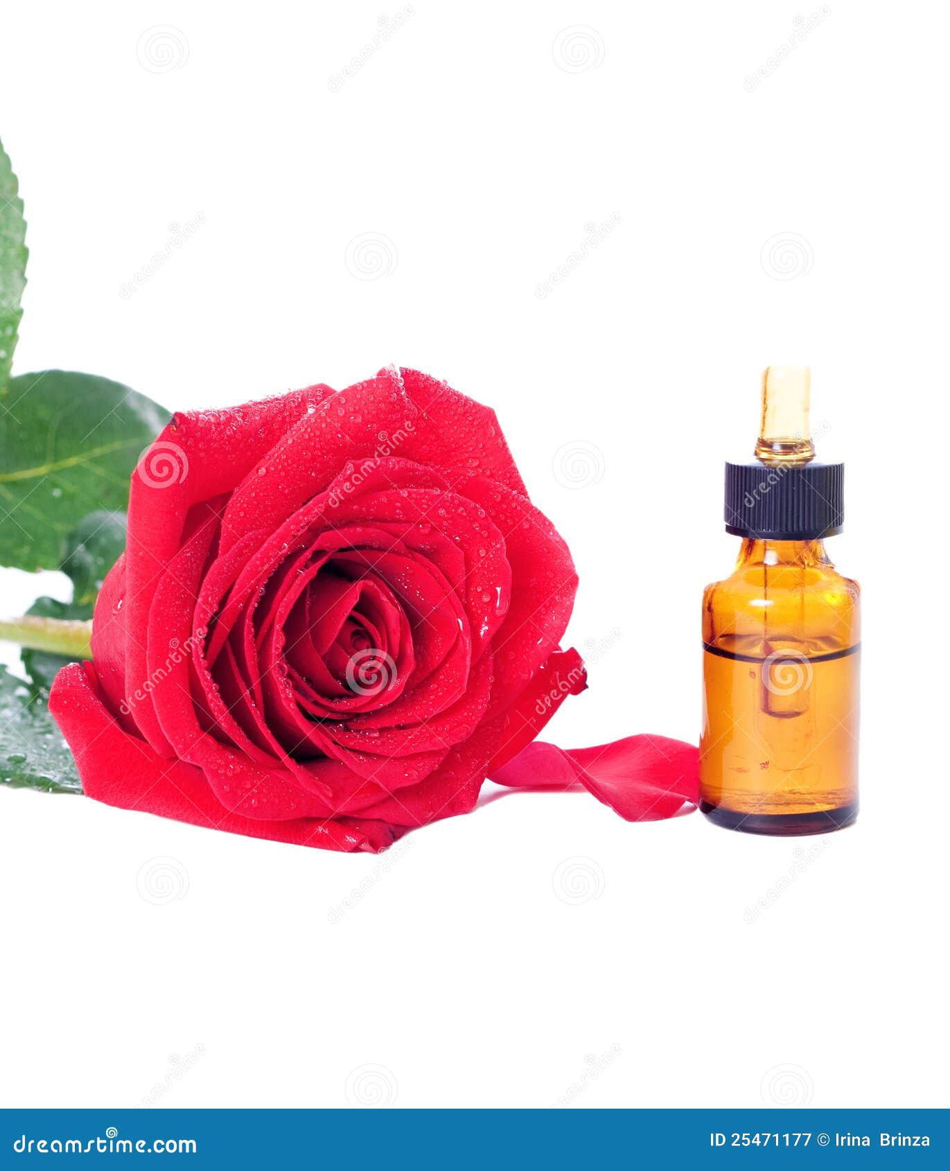 Bottles of Essential Oil and Red Rose Stock Image - Image of glass ...