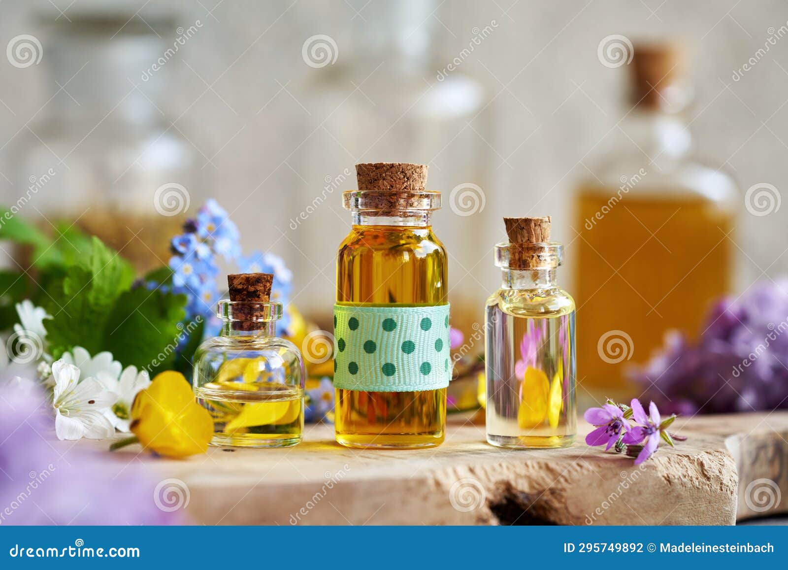 Bottles of Essential Oil with Spring Flowers Stock Photo - Image of ...