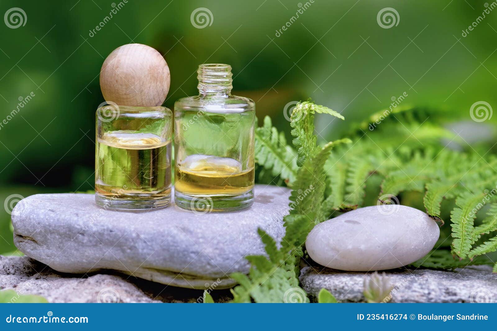Bottles of Essential Oils on a Stone Stock Photo - Image of essential ...