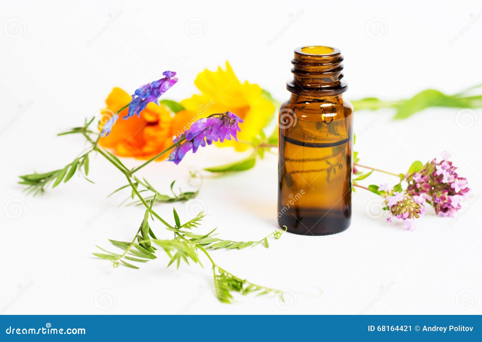 4,950 Herbal Elixir Stock Photos - Free & Royalty-Free Stock Photos ...