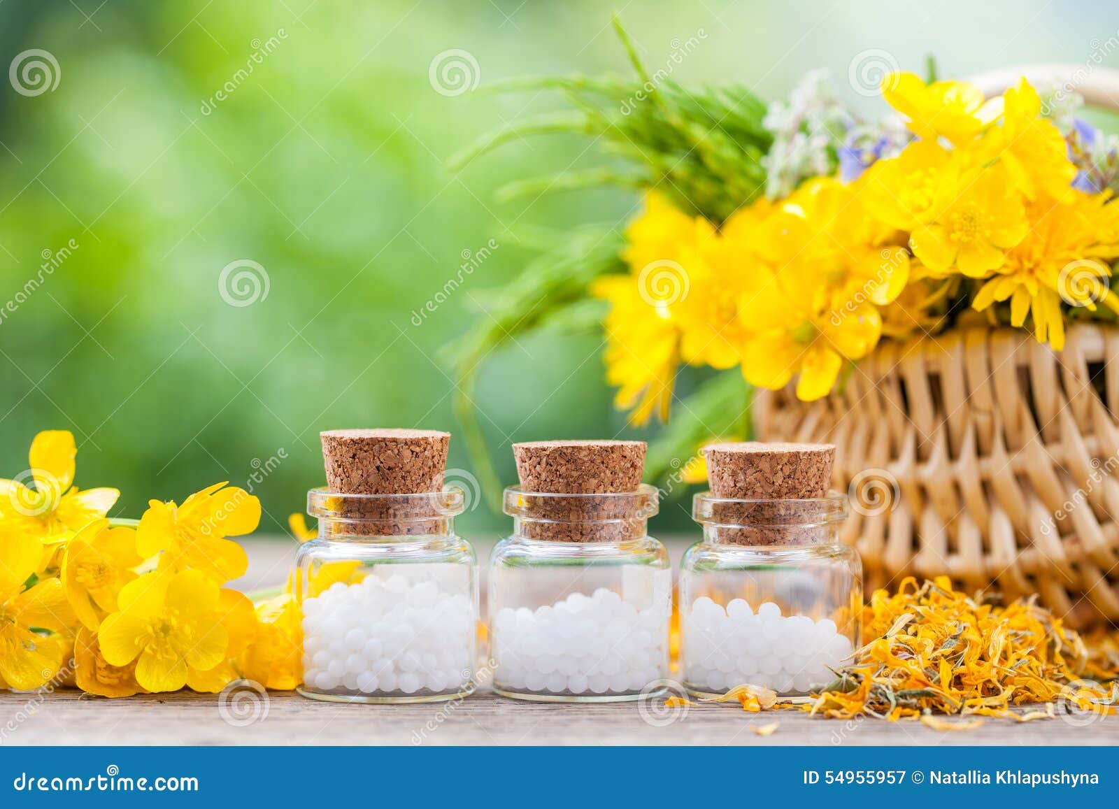 Bottles of Homeopathy Globules and Healthy Herbs Stock Image - Image of ...