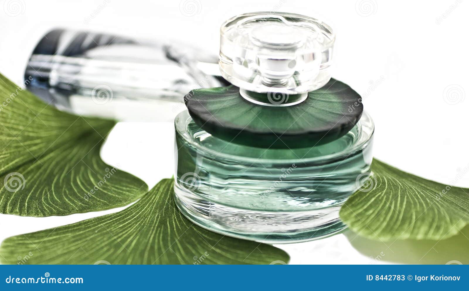 Bottles of Perfume with the Leaves Stock Image - Image of horizontal ...