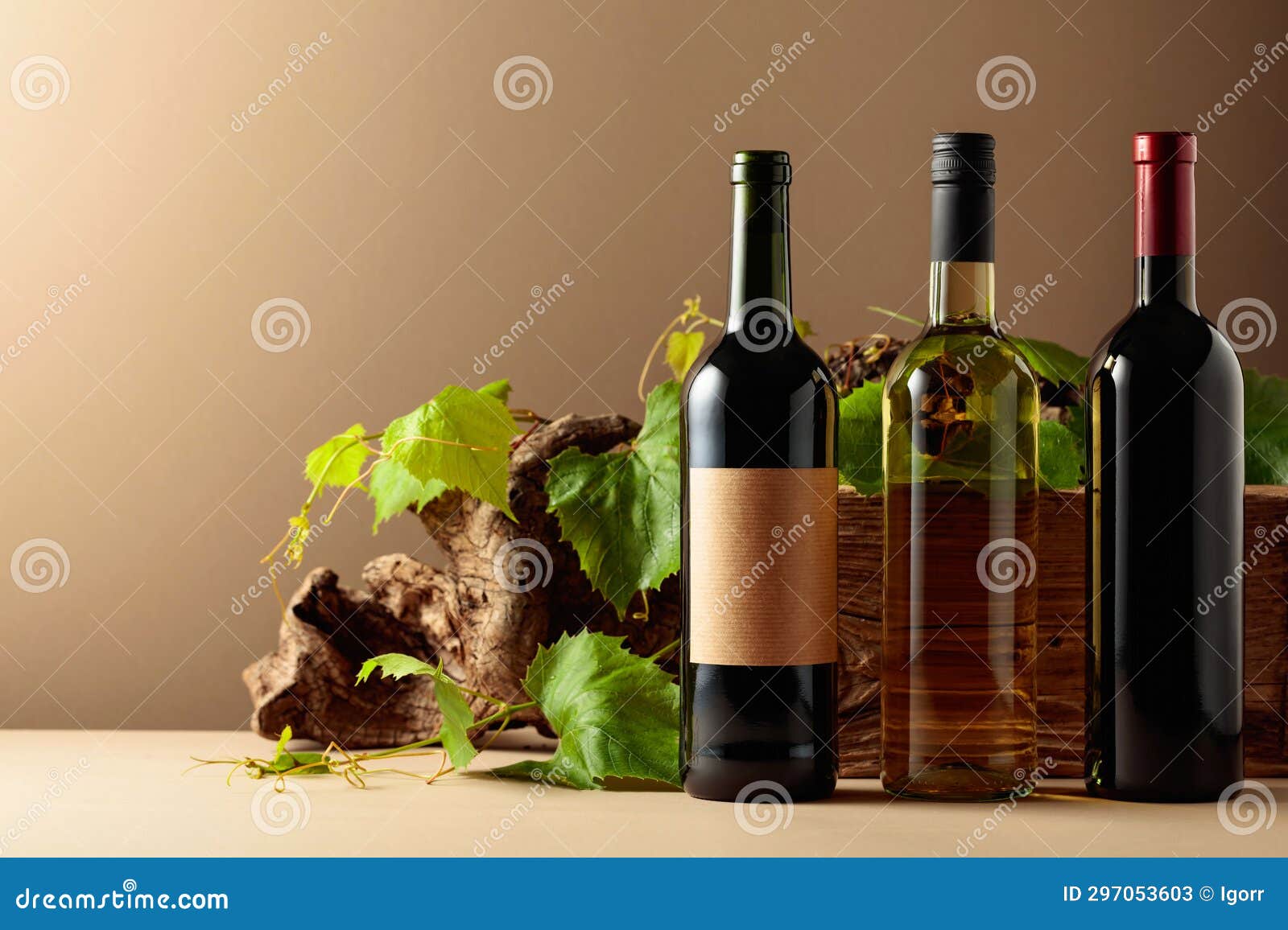 Bottles of Red Wine with Vine Branches Stock Image - Image of luxury ...