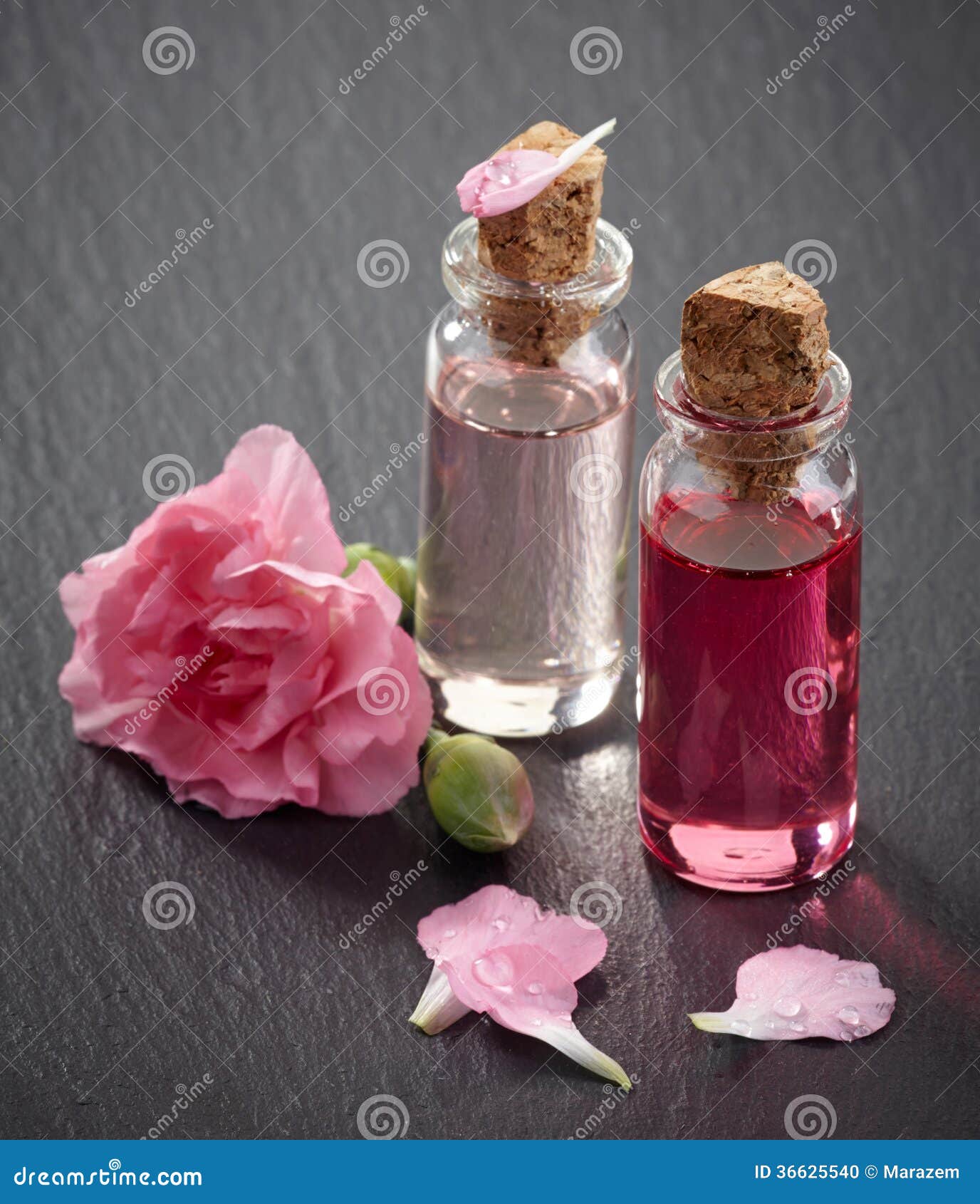 Bottles of Spa Essential Oils Stock Photo - Image of body, clean: 36625540