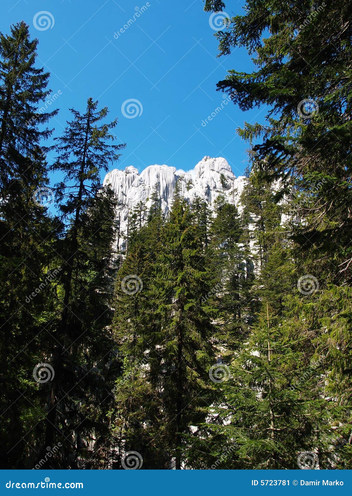 From the bottom stock image. Image of summer, tourism - 5723781