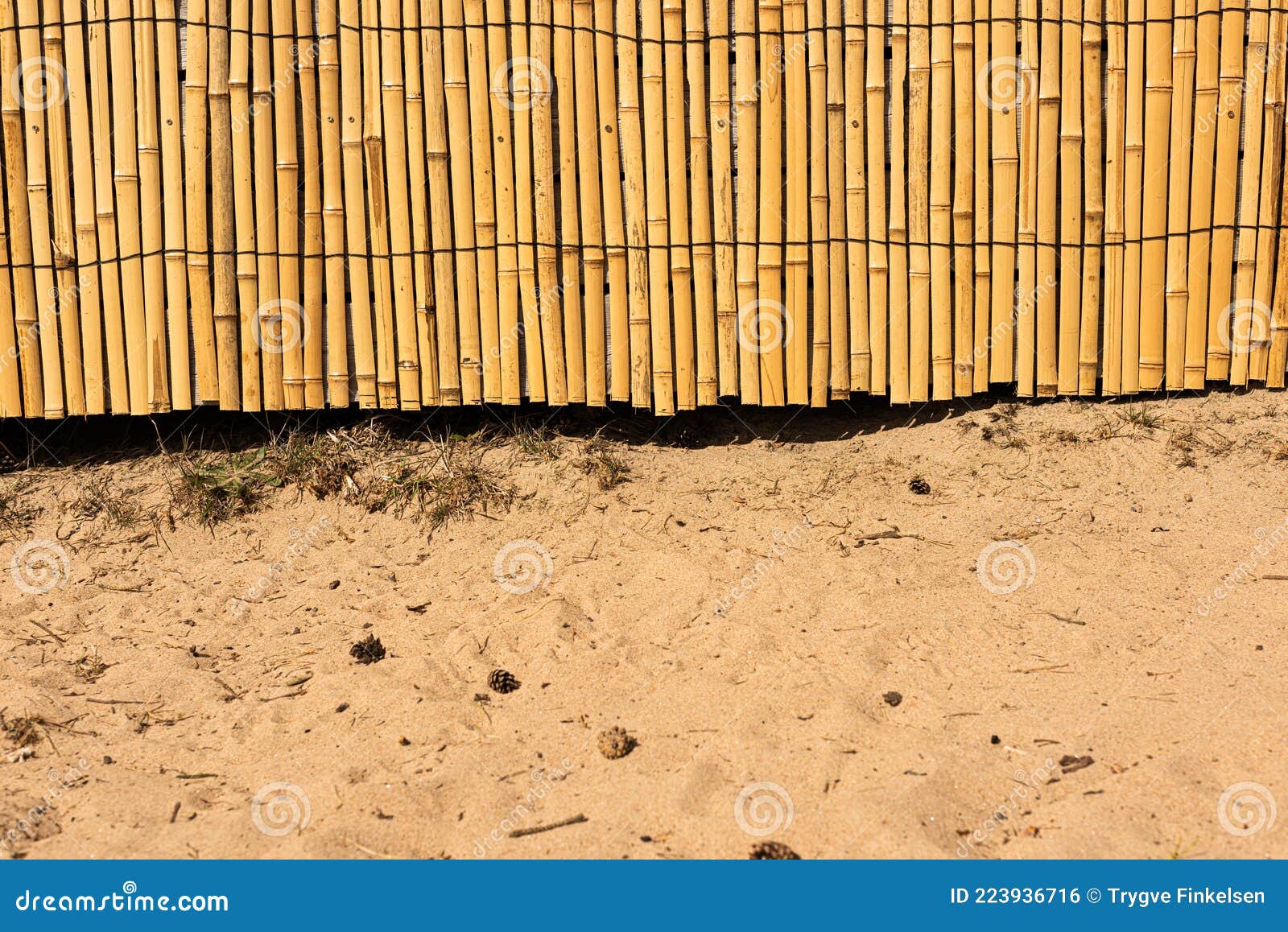Bottom of a Bamboo Wall on a Beach Stock Photo - Image of textured ...