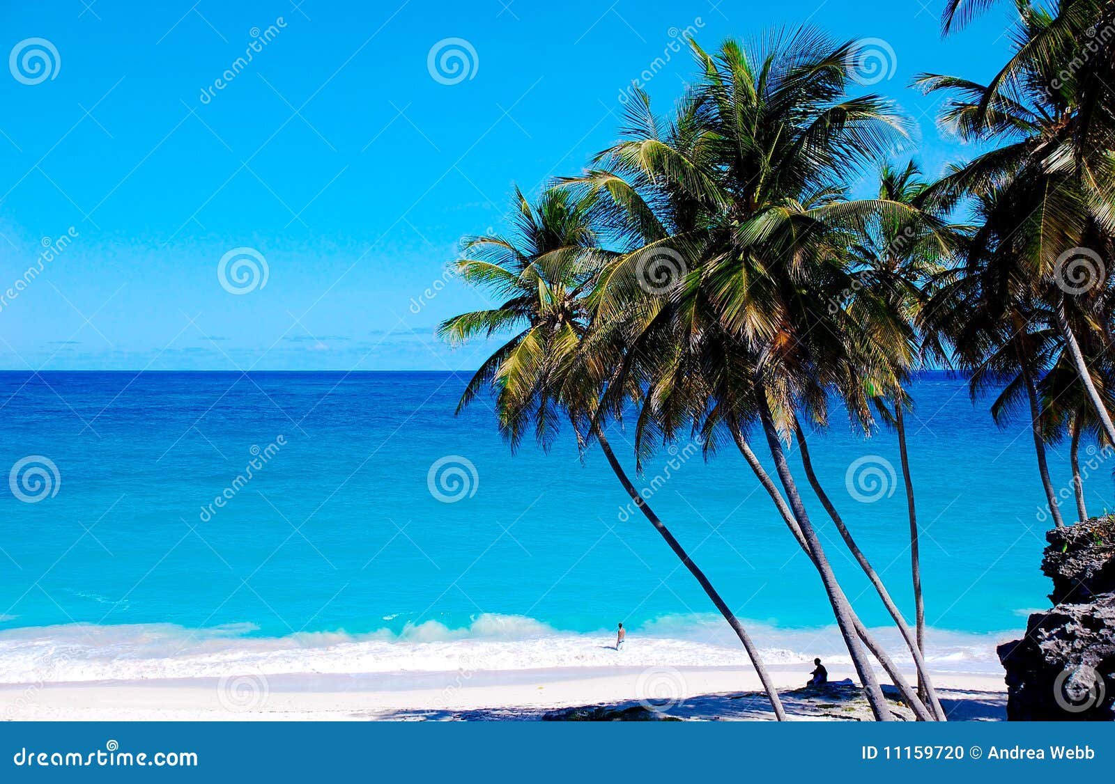 Bottom Bay Beach Barbados stock photo. Image of caribbean - 11159720