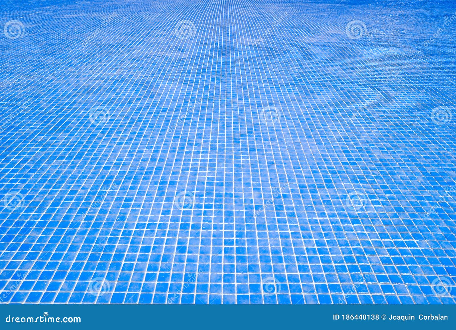 Bottom of an Empty Swimming Pool with Its Square Blue Bricks Stock ...