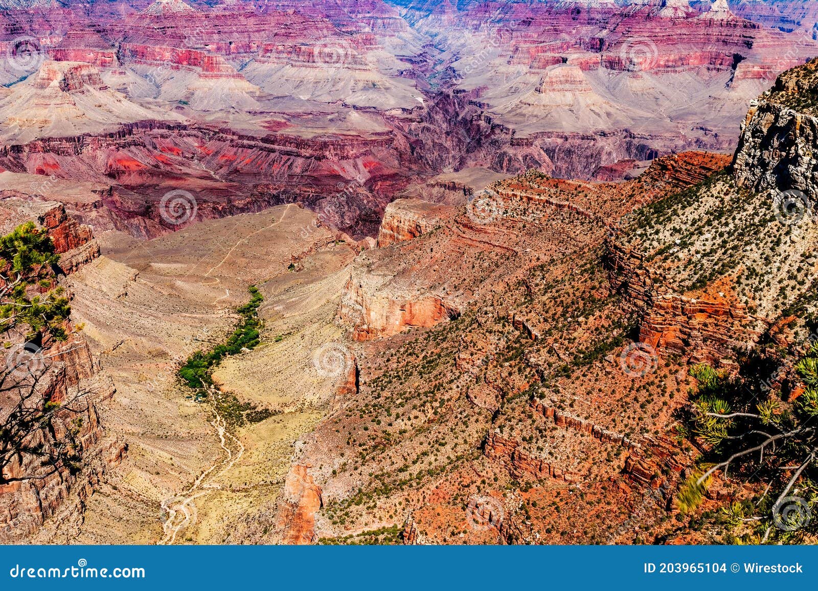 Bottom of the Grand Canyon. Stock Photo - Image of outdoors, beautiful ...