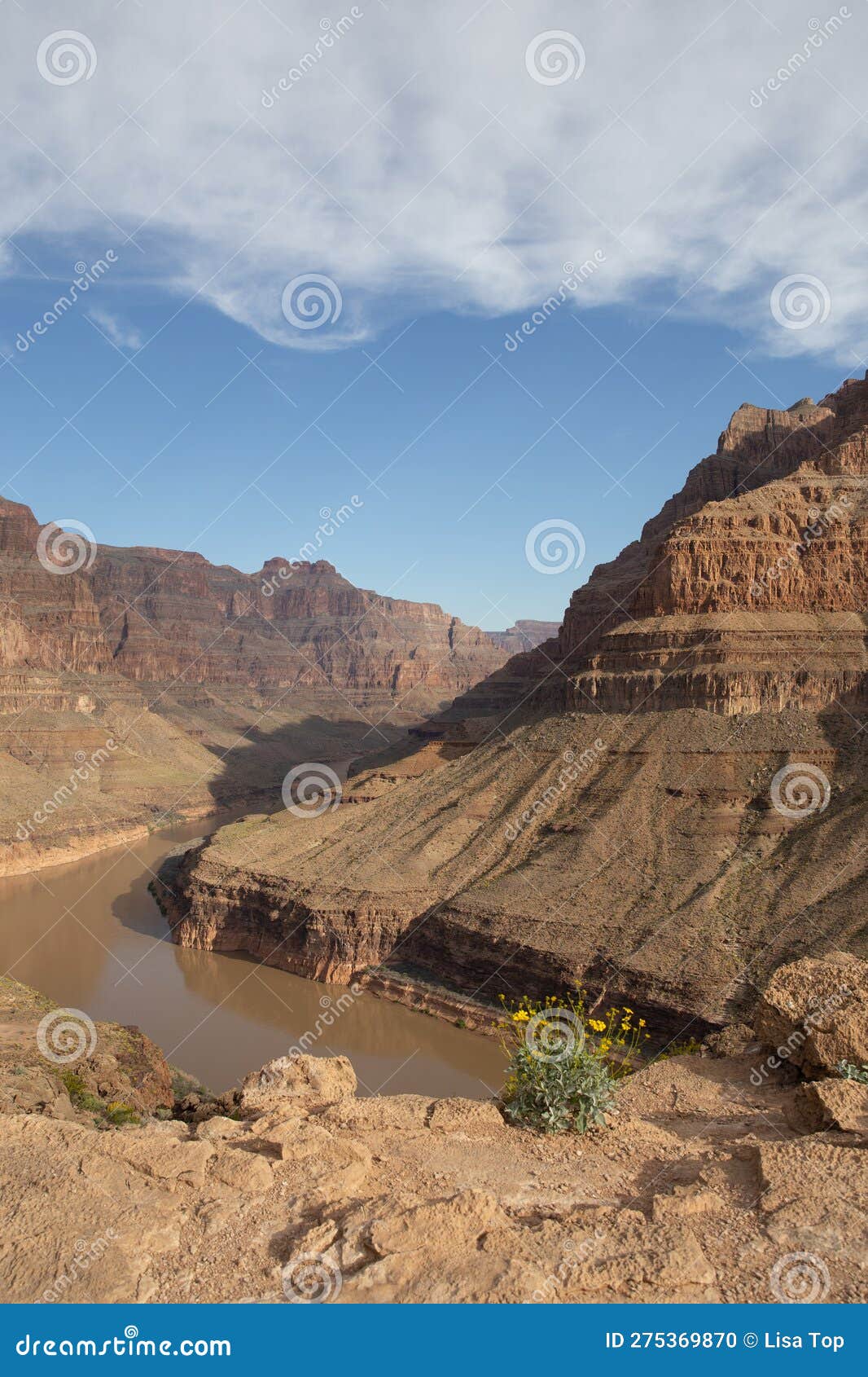 Bottom of the Grand Canyon stock photo. Image of mountains - 275369870
