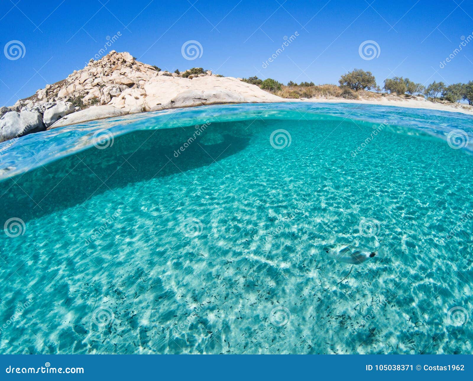 Half Underwater Portrait Of A Girl Swim In The Sea Royalty-Free Stock ...