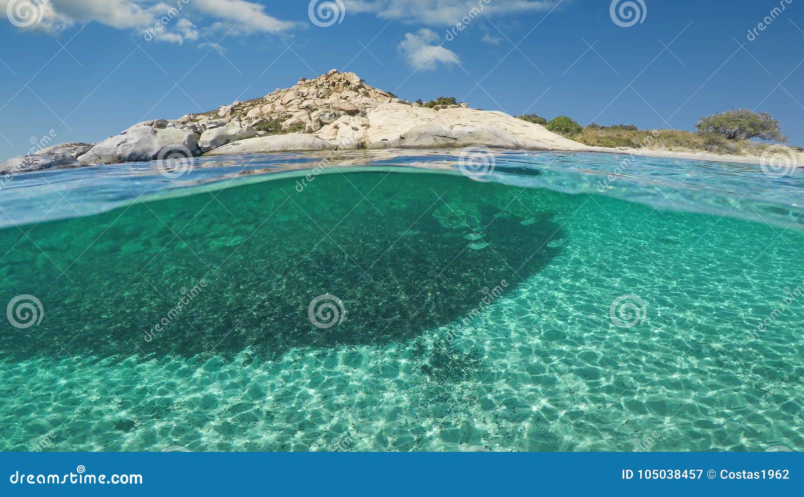 Half Underwater Portrait Of A Girl Swim In The Sea Royalty-Free Stock ...