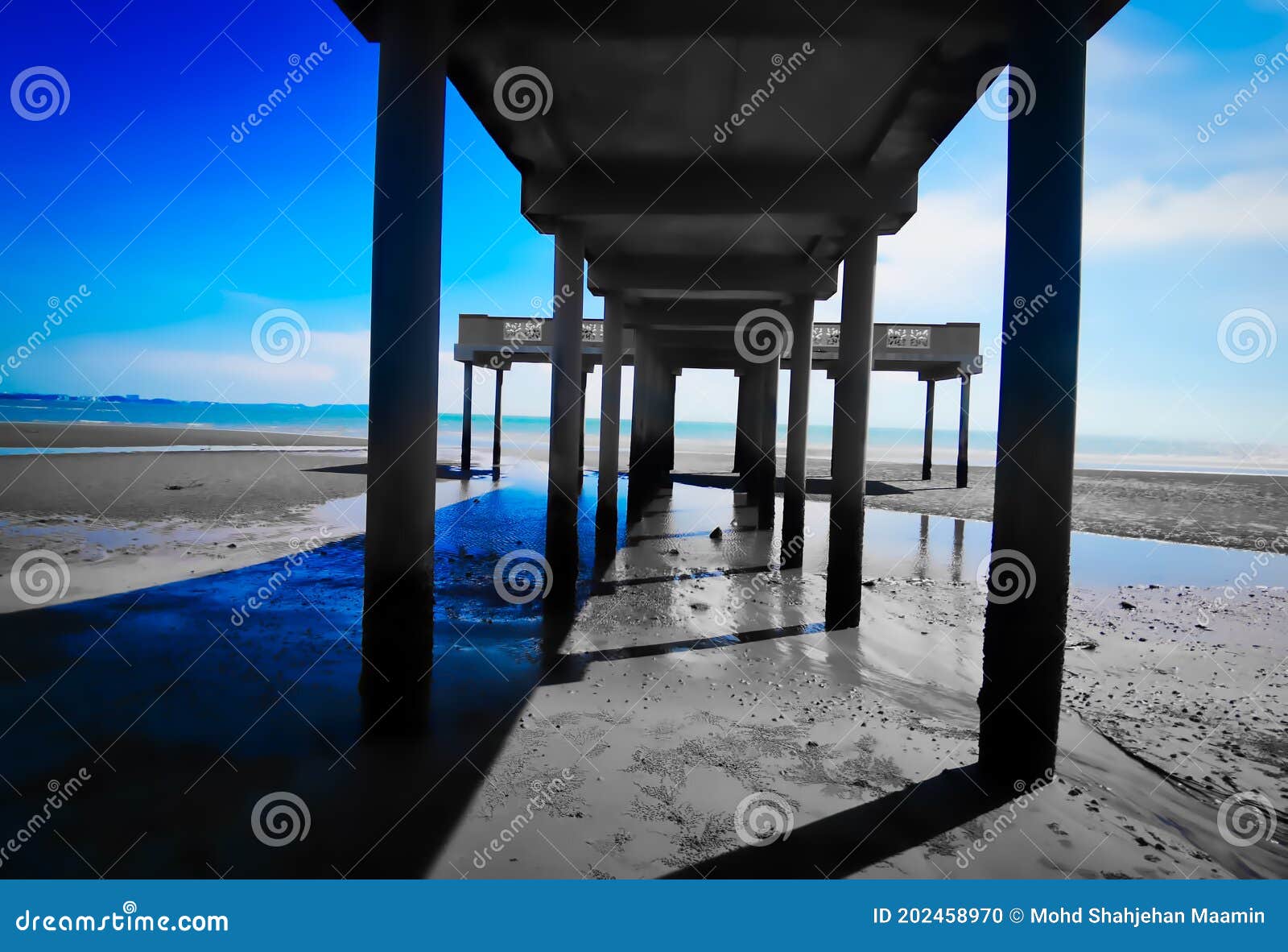 Objects stock photo. Image of pigeons, jetty, rain, pattern - 202458970