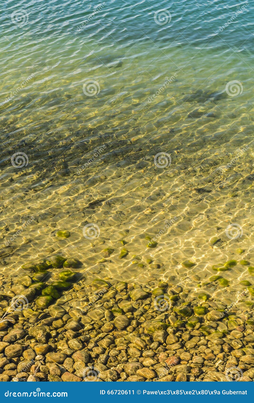 Bottom of the lake. stock image. Image of shape, pond - 66720611