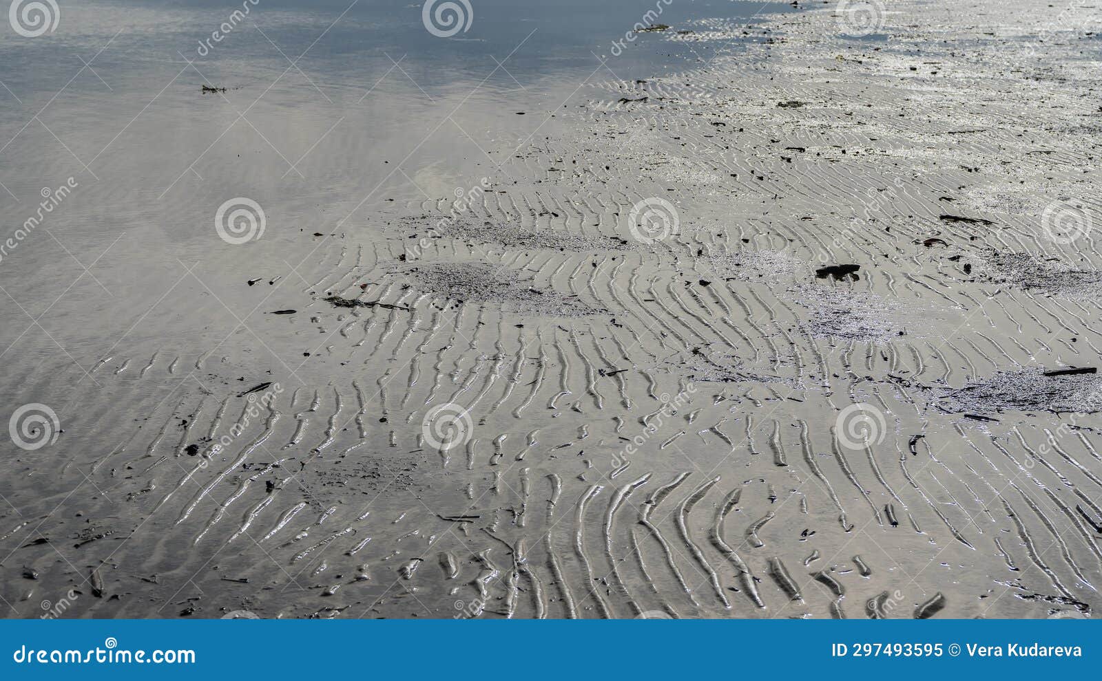 The Bottom of the Ocean at Low Tide. a Pattern of Exposed Sand Ridges ...
