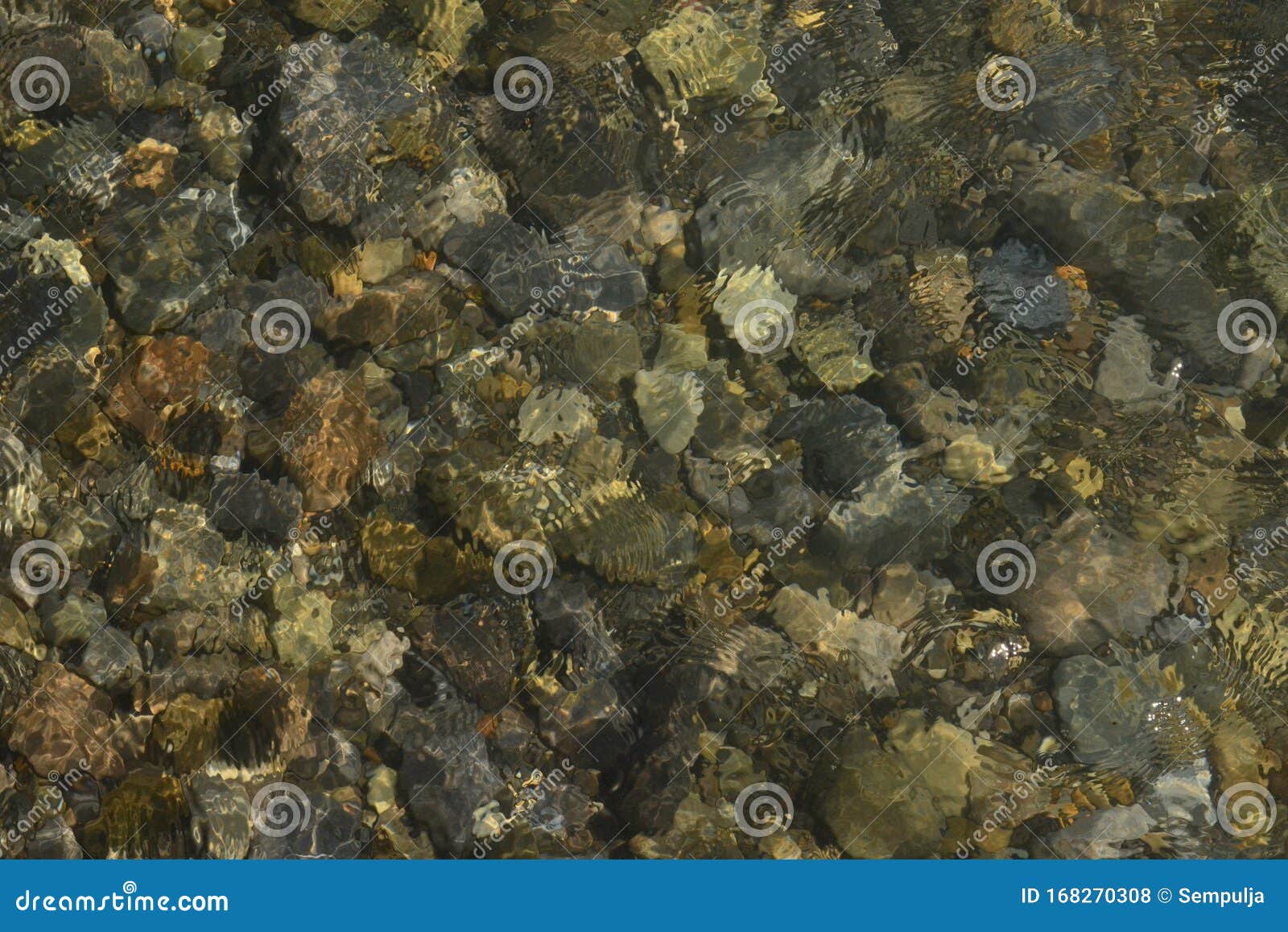 At the Bottom of the Pebble Stock Photo - Image of bottom, pebble ...