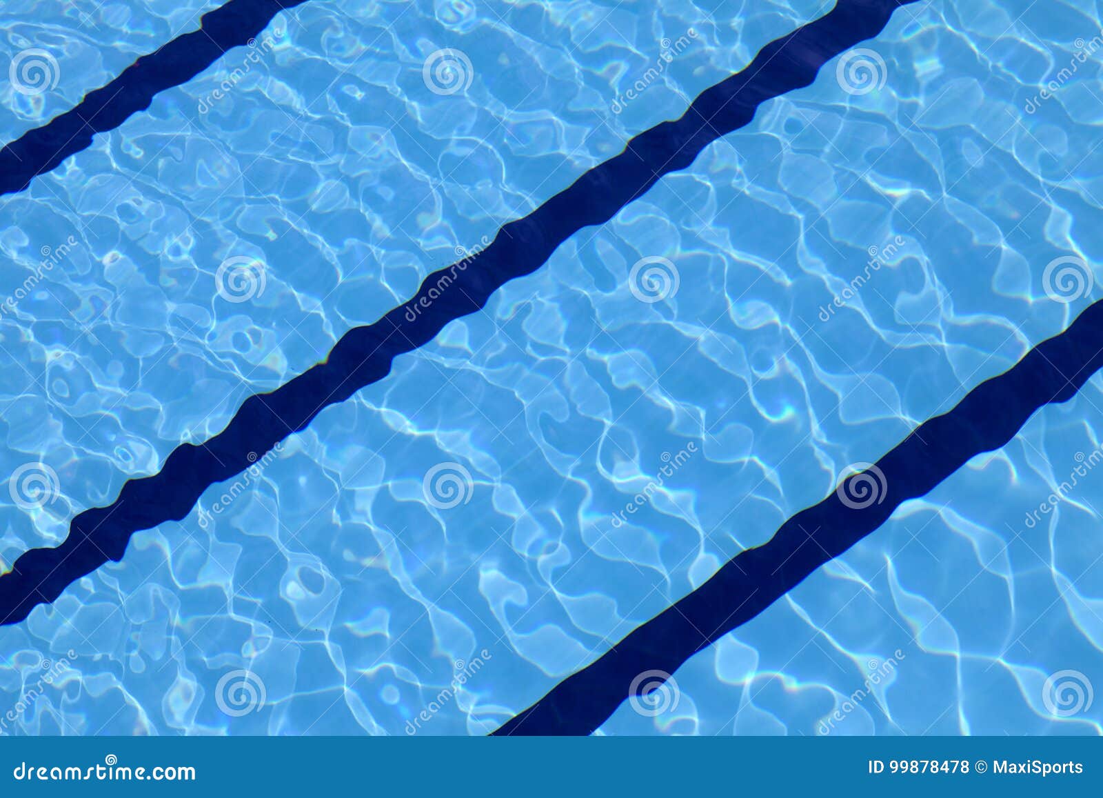 Competition swimming pool stock photo. Image of swim - 99878478