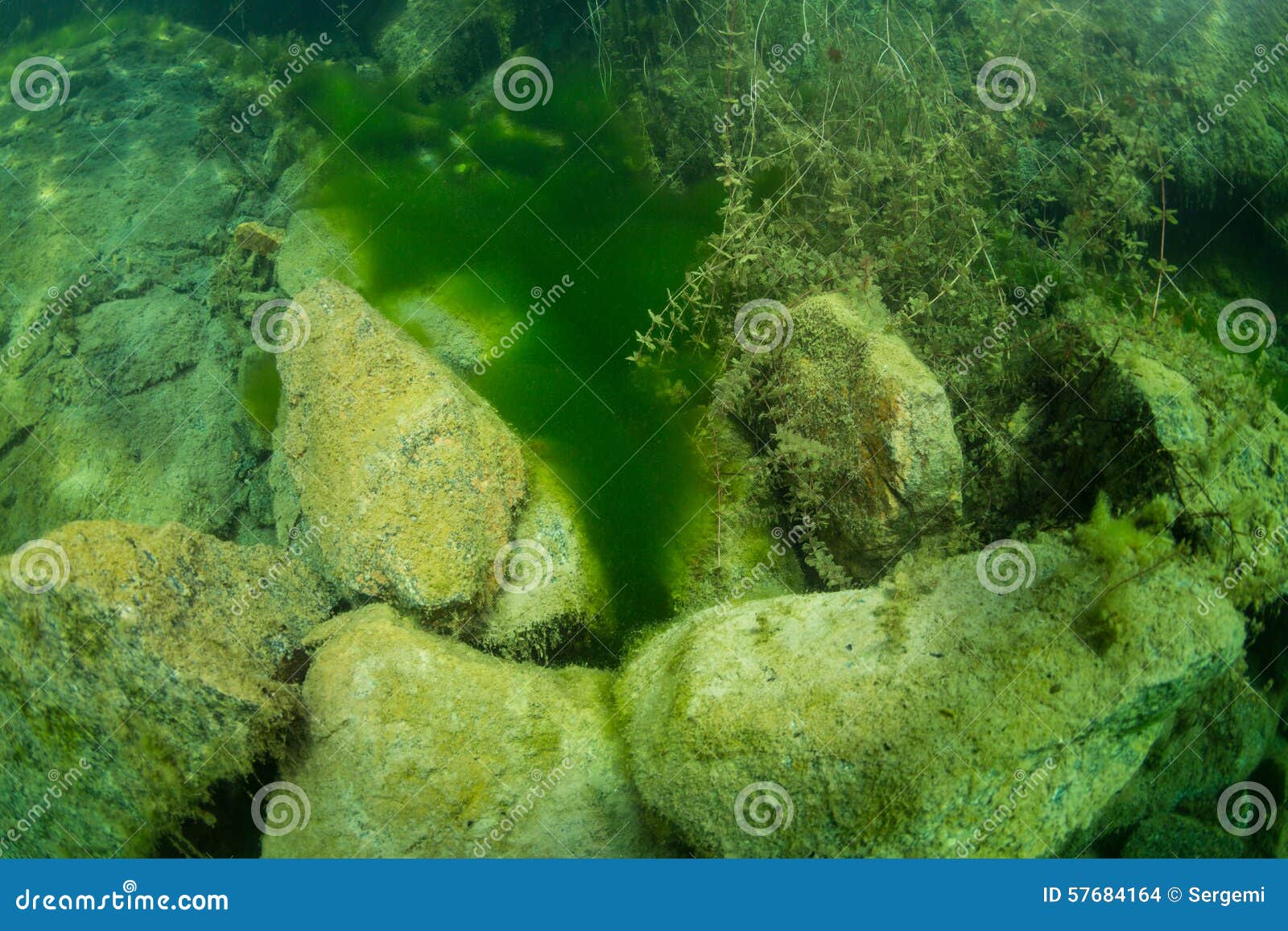 At the bottom of the river stock photo. Image of silence - 57684164