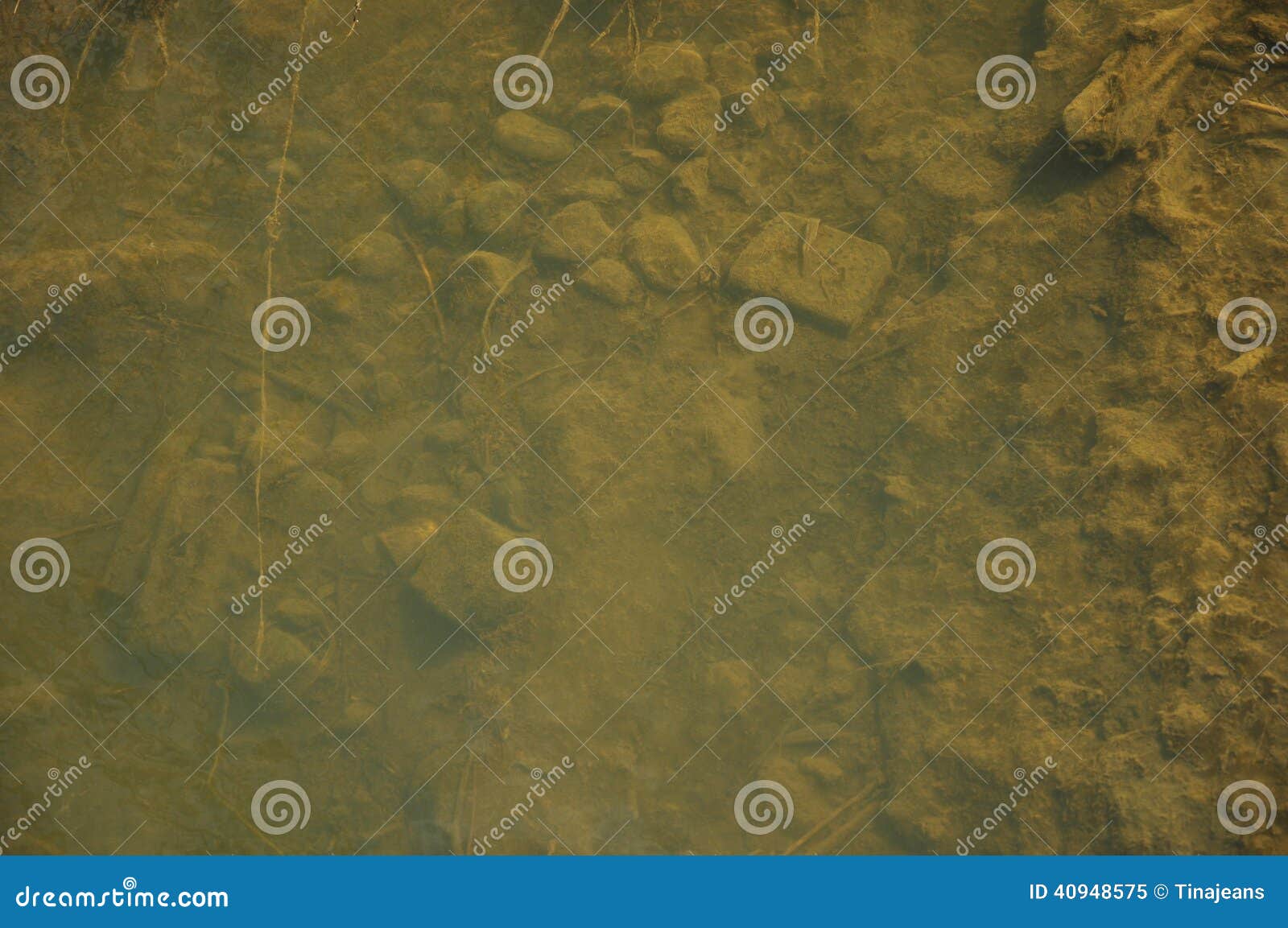 Bottom of the river. stock image. Image of bottom, ooze - 40948575