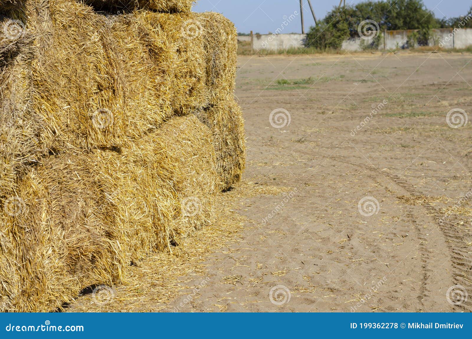 Bottom of a Stack of Rectangular Dry Hay Bales Stock Photo - Image of ...