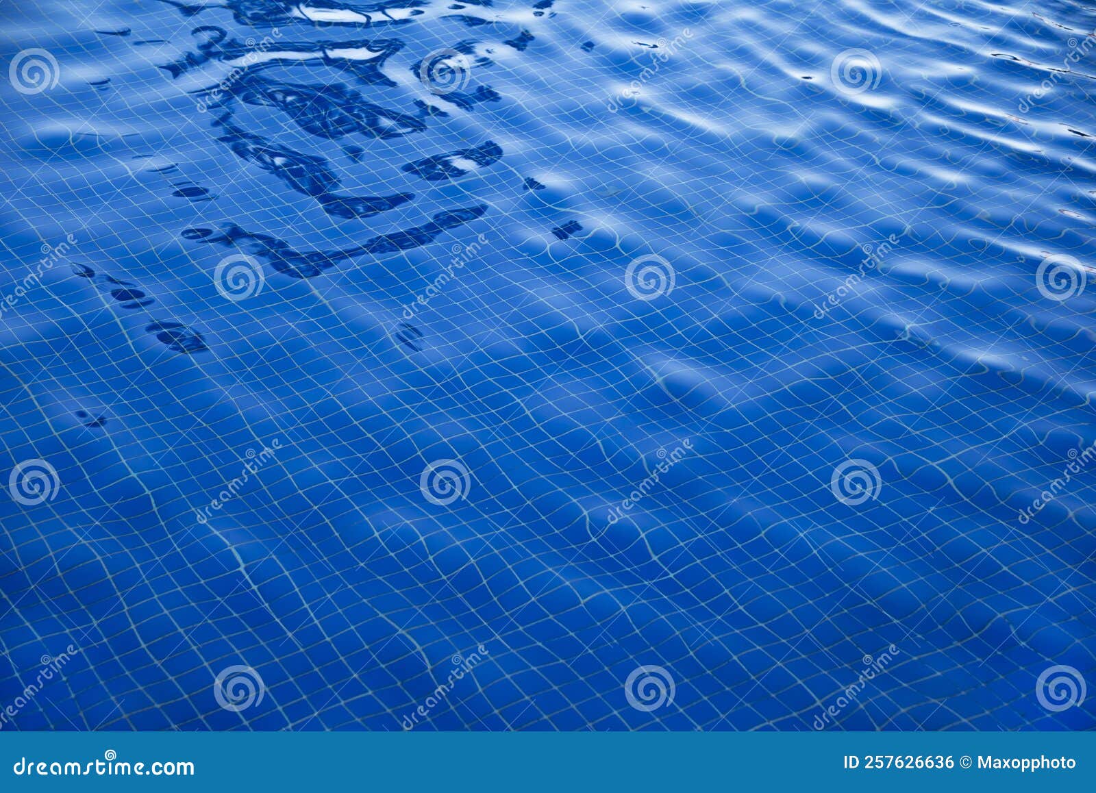 Bottom of the Swimming Pool with Blue Water Stock Photo - Image of blue ...
