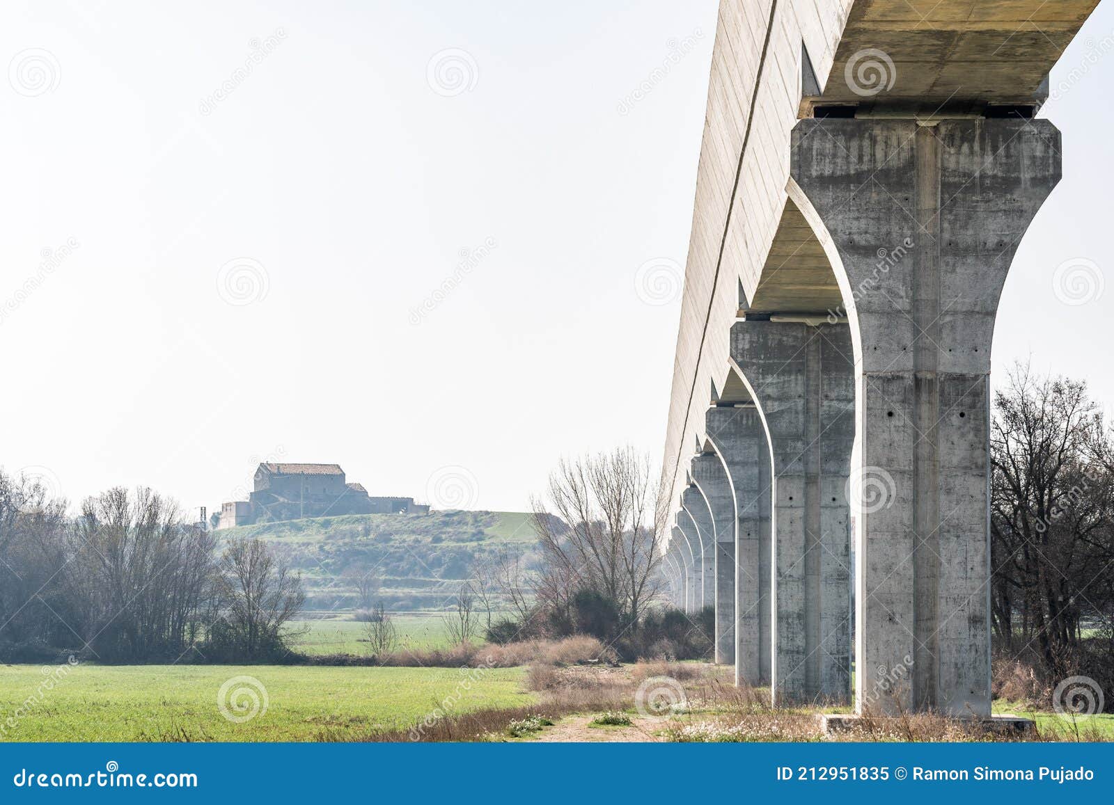 Bottom View of a Modern Aqueduct with Its Pillars Stock Image - Image ...