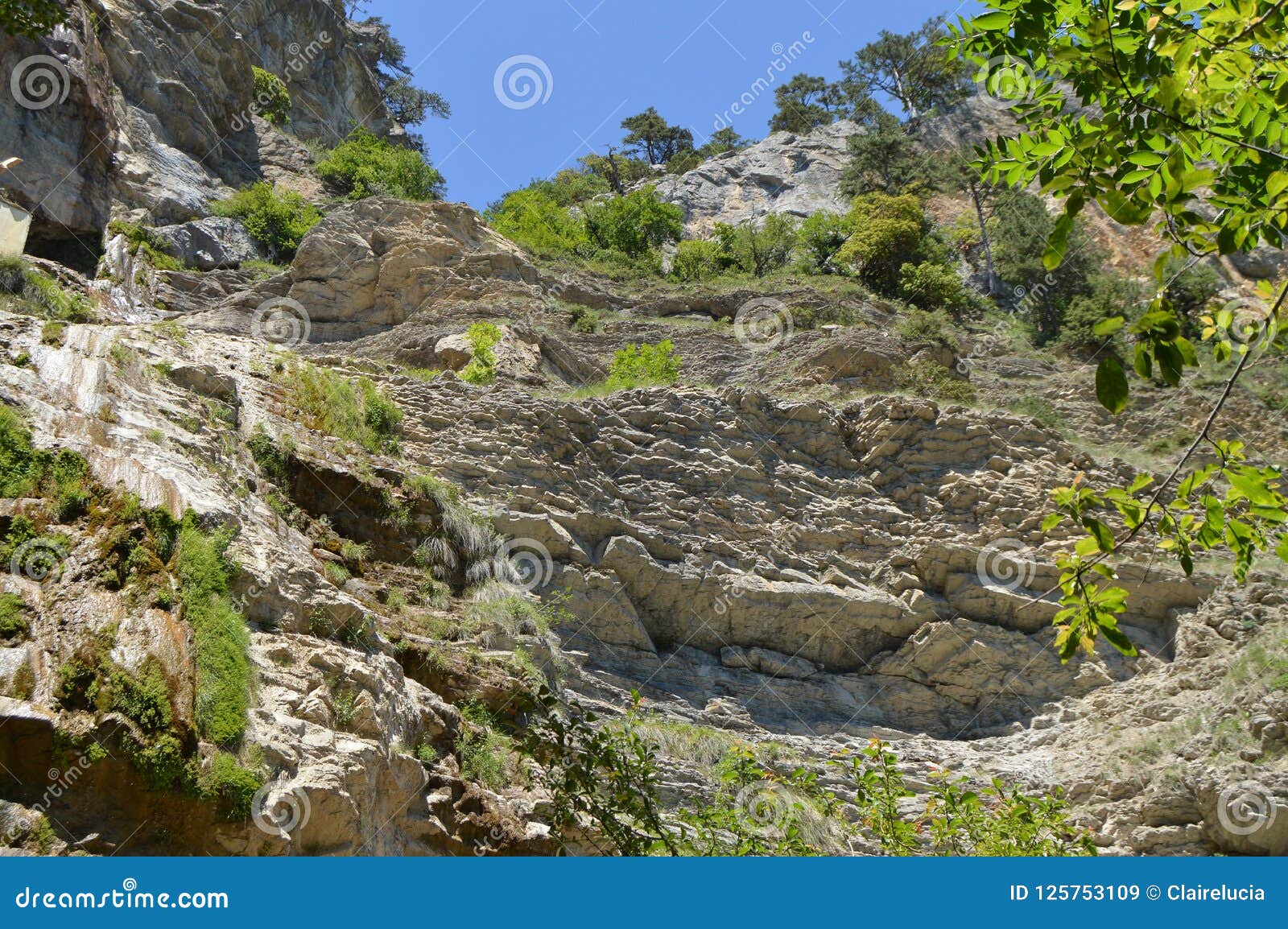 Bottom View of Rocks and Mountains, the Concept of Ecosystem ...