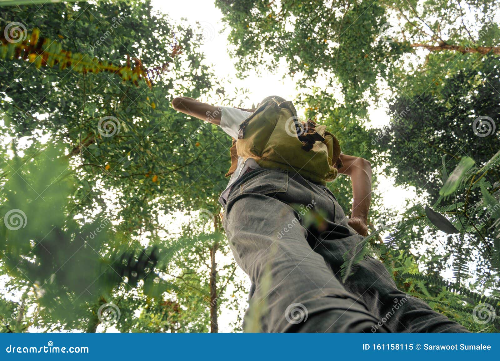 Bottom View of Young Adventurer with a Backpack Standing in the Jungle ...
