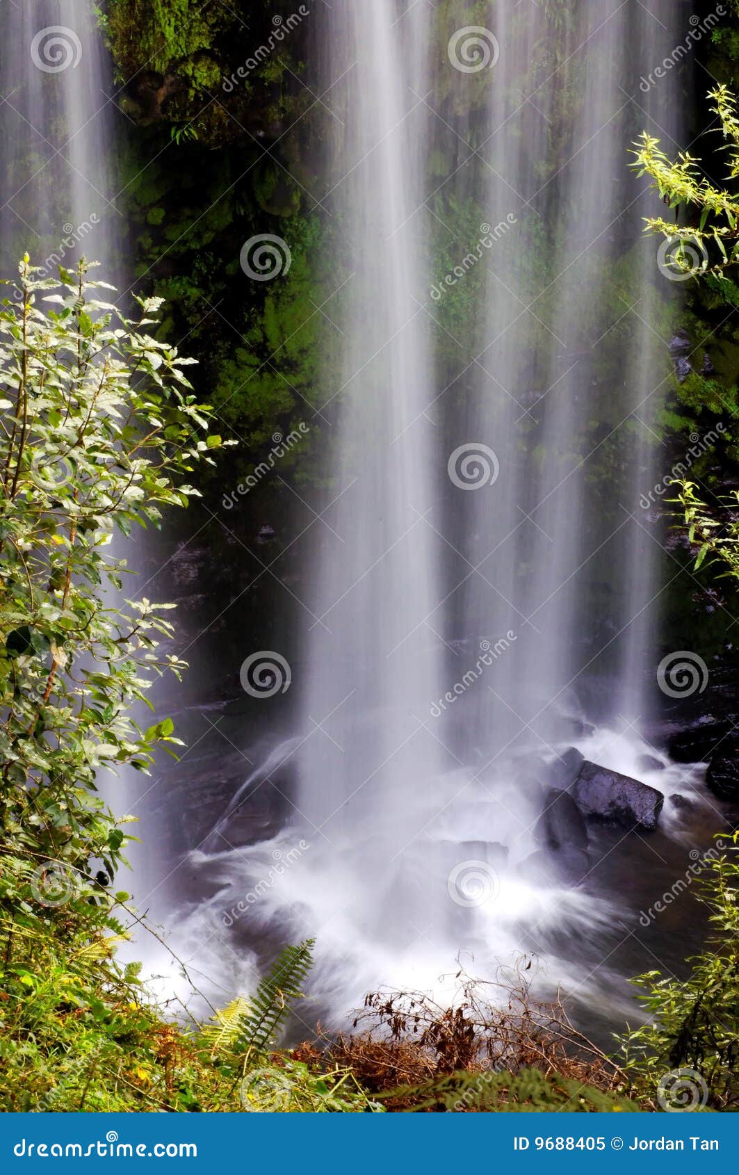 Bottom of waterfall stock image. Image of tree, water - 9688405
