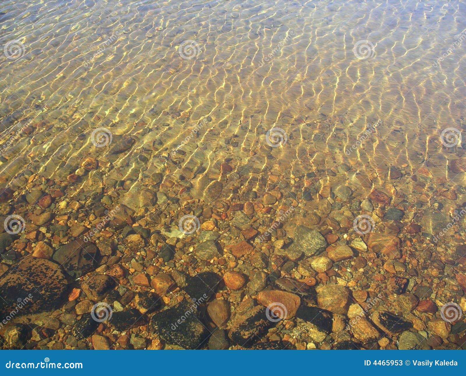 Bottom of the White sea stock image. Image of islands - 4465953