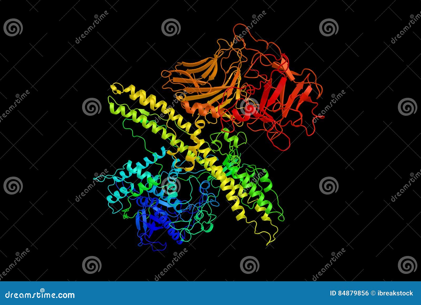 Botulinum Toxin 3d Structure Which Prevents the Release of the ...