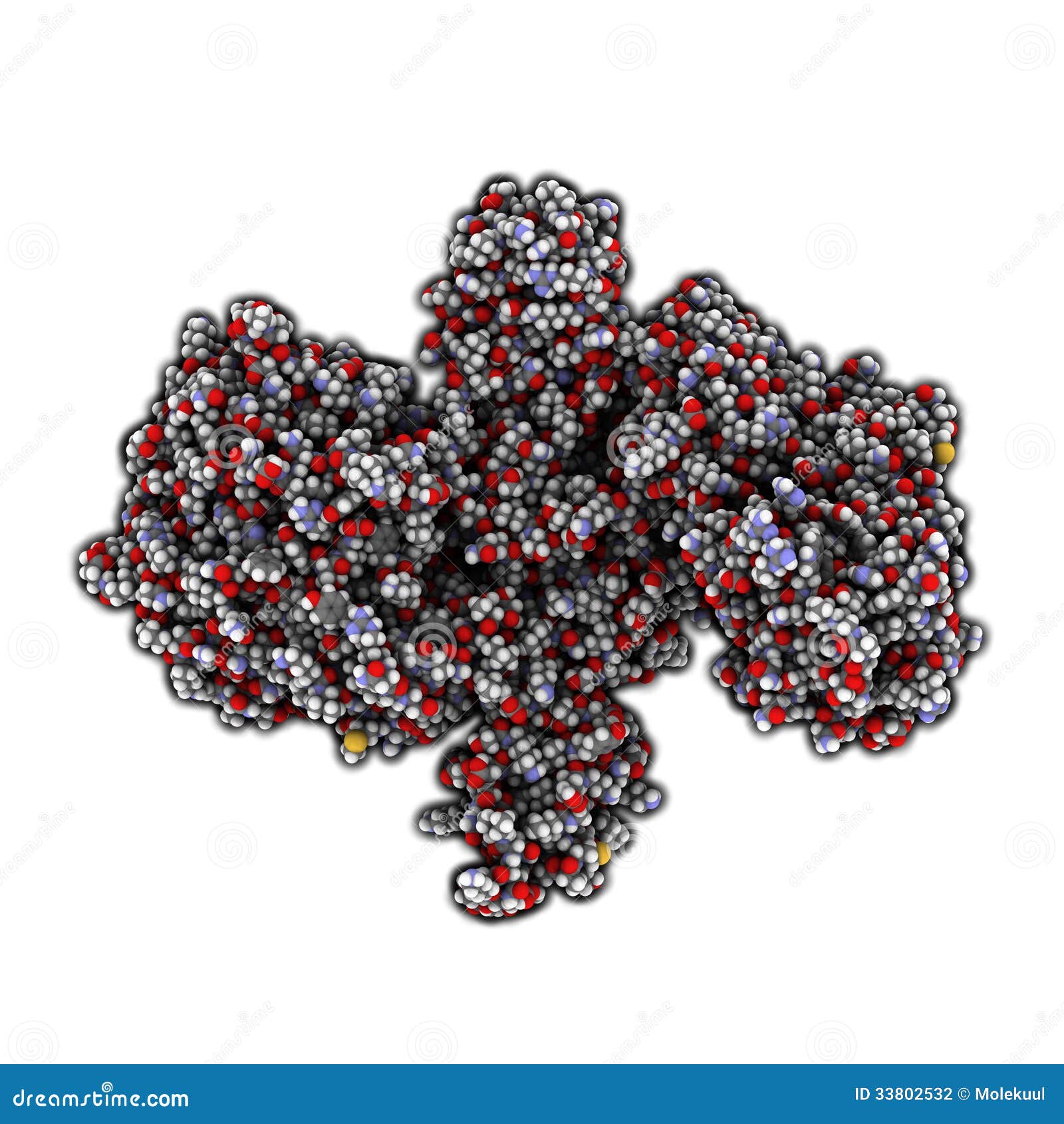 Botulinum Toxin Neurotoxic Protein. Produced by Clostridium Botulinum ... Botulinum Toxin Neurotoxic Protein. Produced by Clostridium Botulinum ...