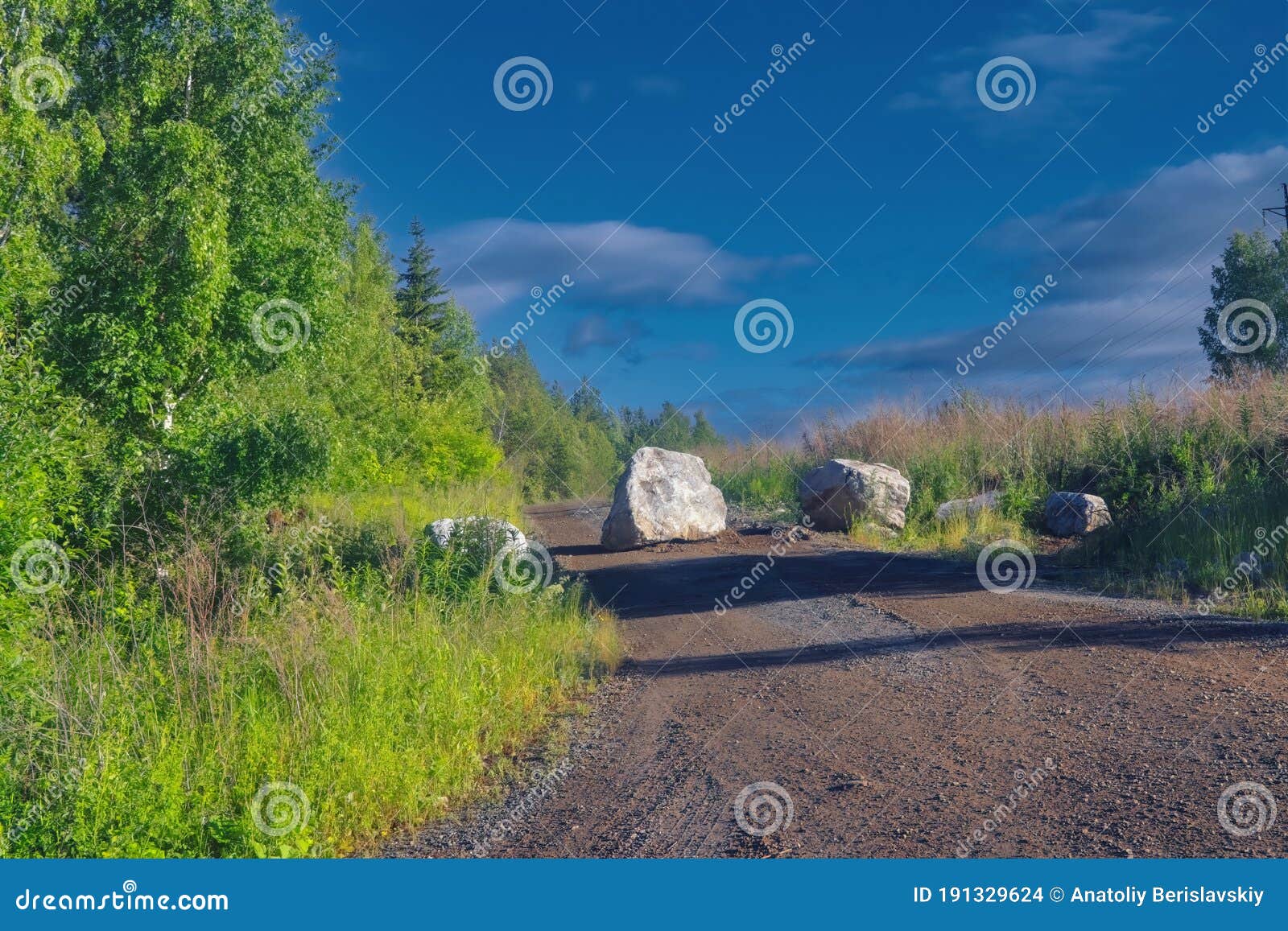 Large Boulder Stones Block the Forest Road Summer Landscape Stock Photo ...