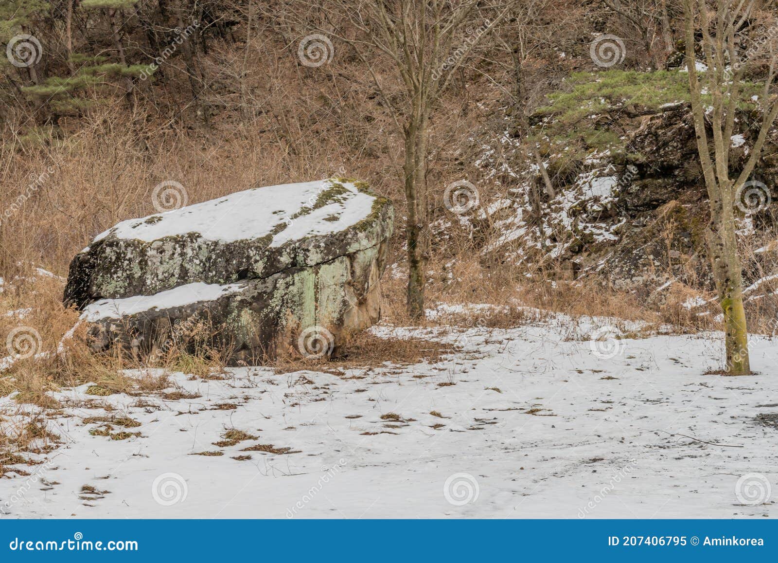 Big Wet Boulder Covered By Fresh Green Moss In Foamy Water Of Mountain ...