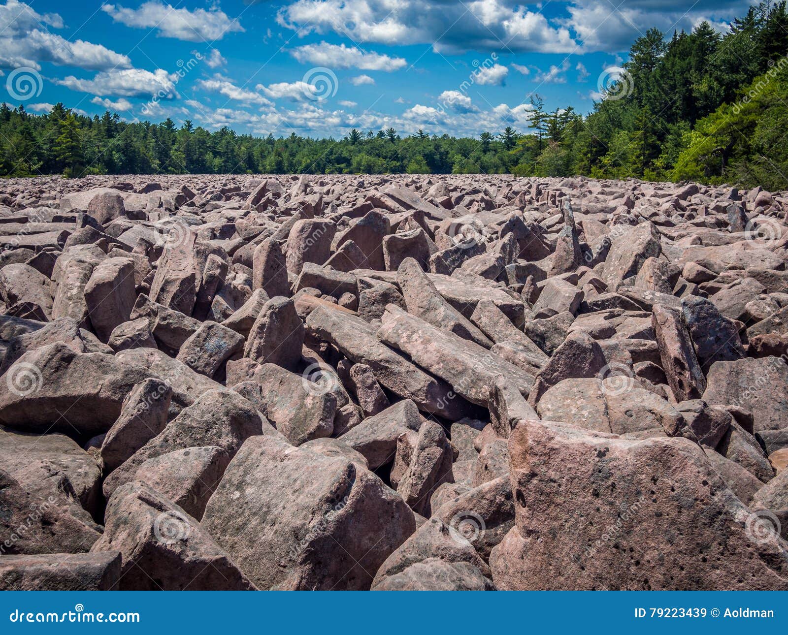 Boulder Field in Hickory Run State Park Stock Image - Image of appalachian, pine: 79223439