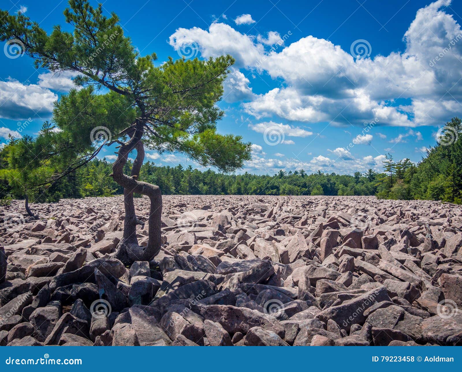 Boulder Field in Hickory Run State Park Stock Photo - Image of nature ...