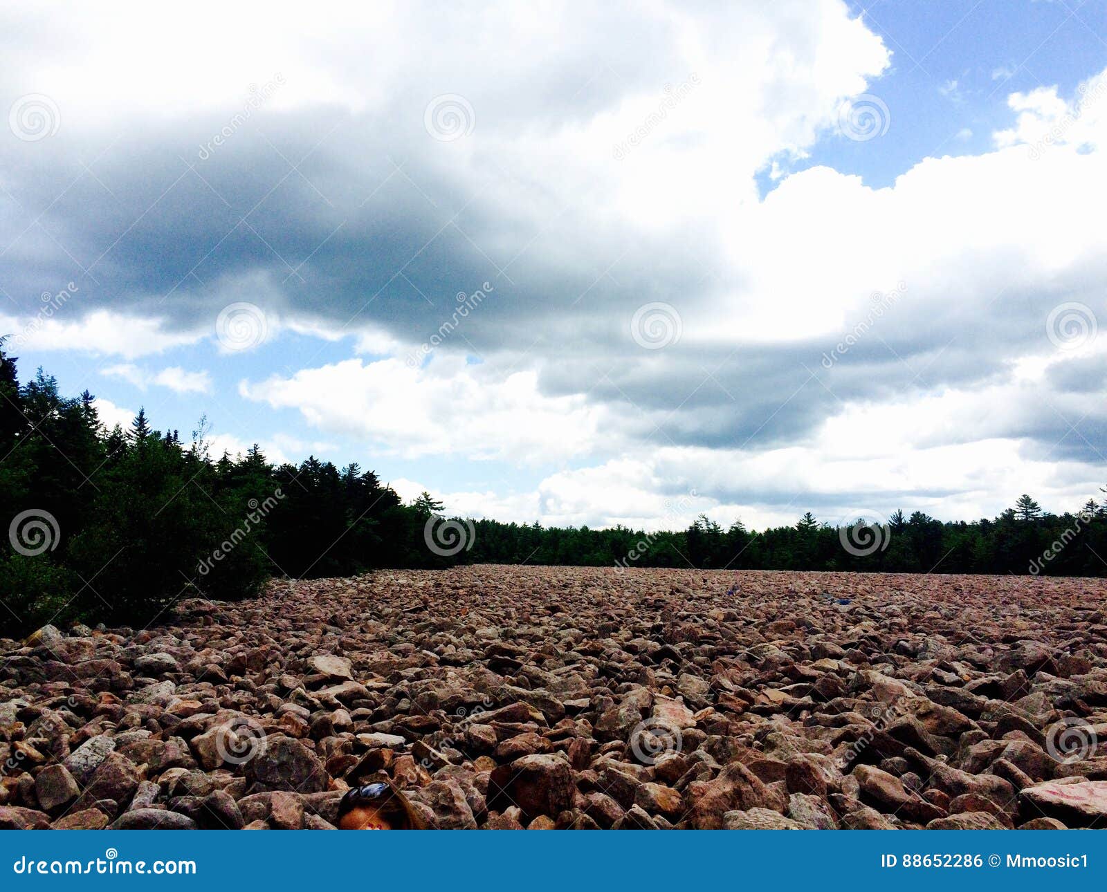 Boulder field stock photo. Image of nature, trees, summer - 88652286