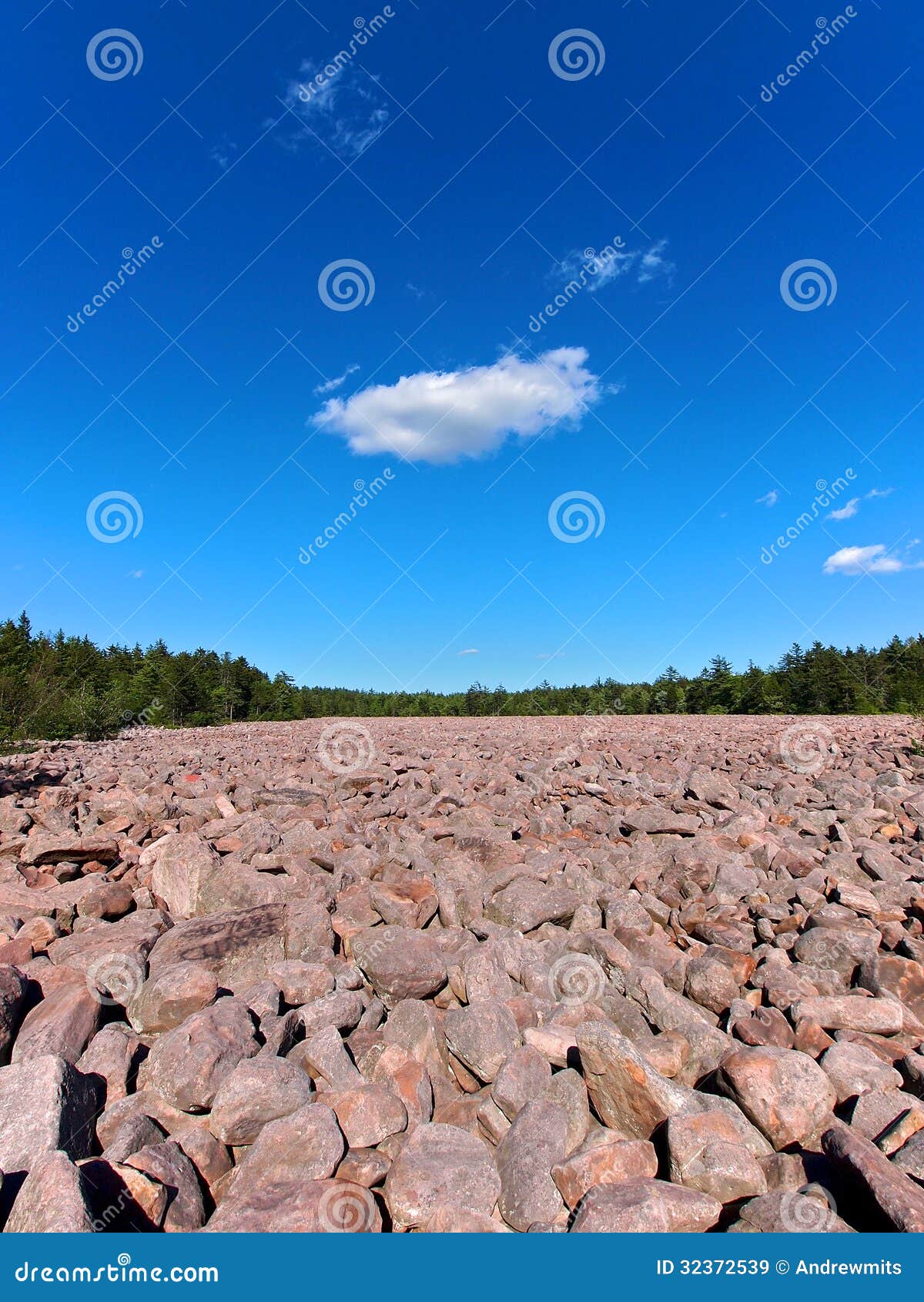 Boulder Field stock image. Image of trees, pine, landscape - 32372539